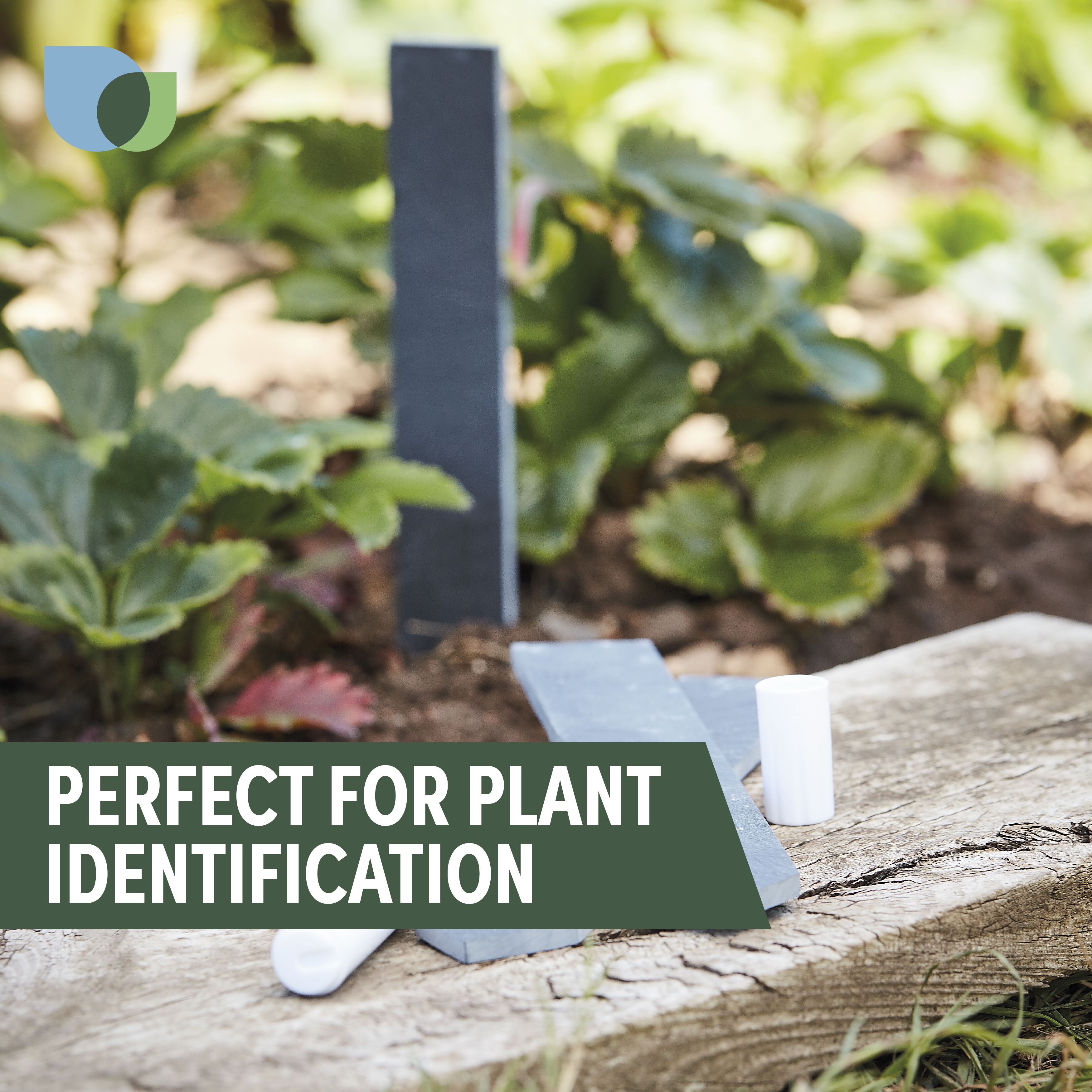 Verve Slate Plant labels, Pack of 5