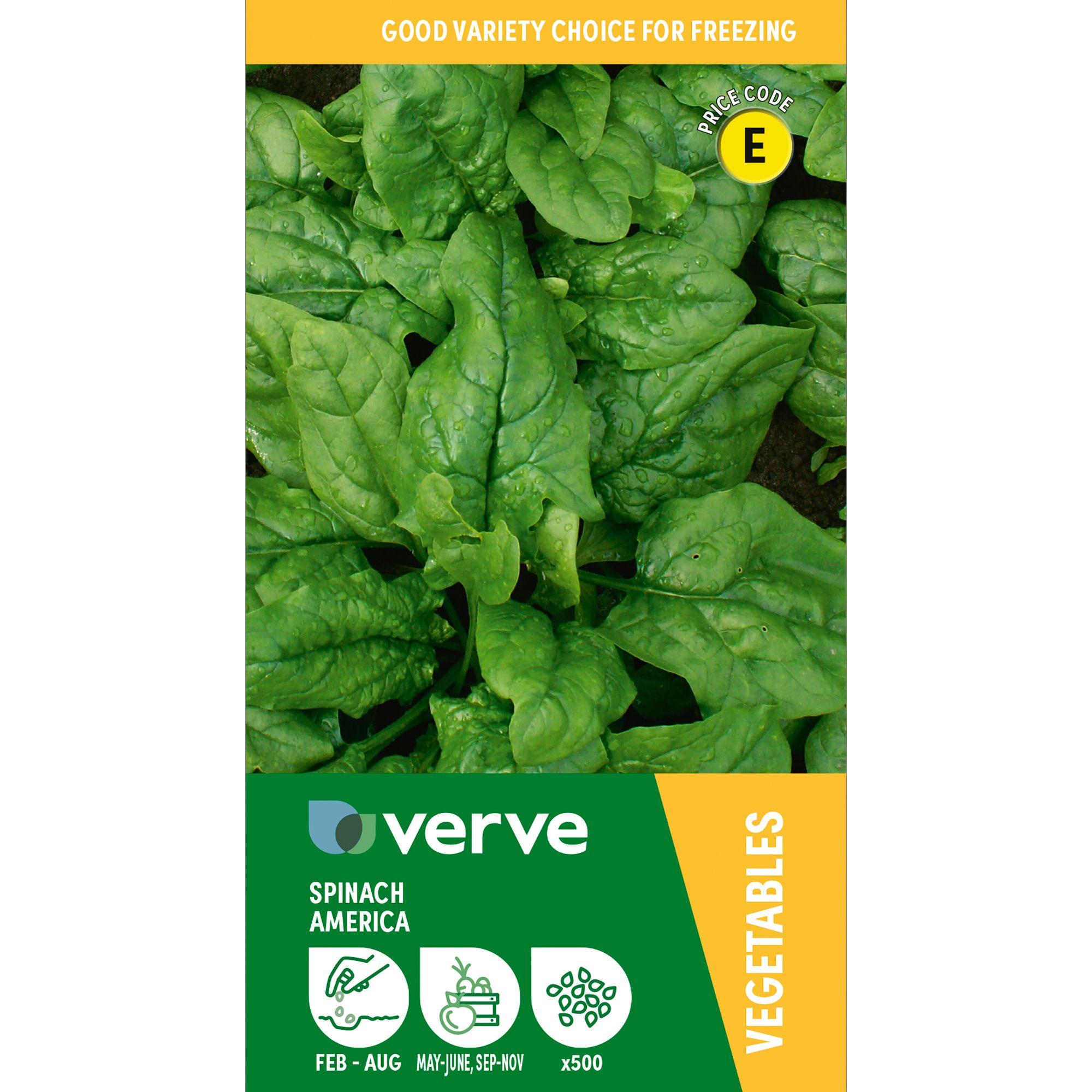 Verve Spinach 'America' Vegetable Seeds