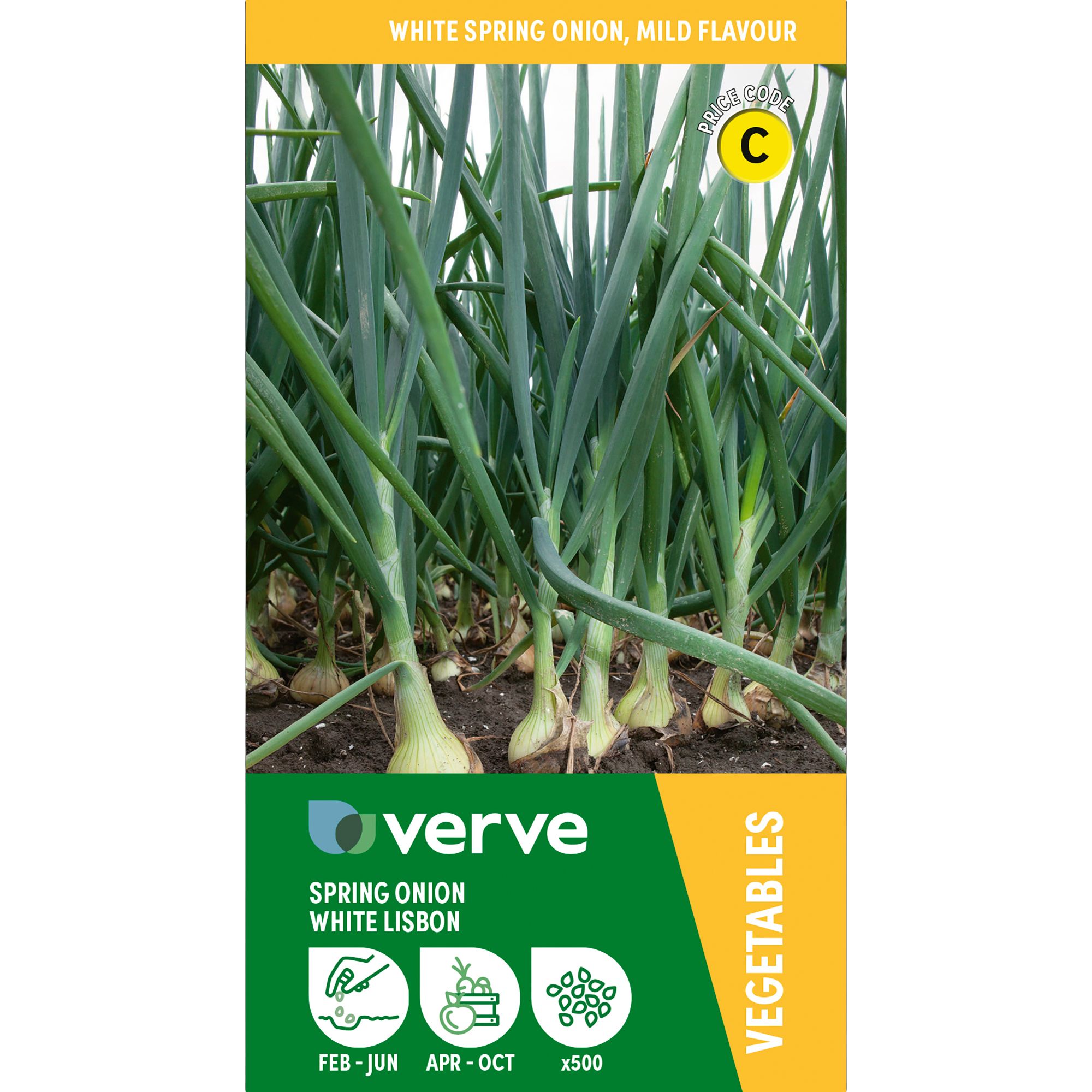 Verve Spring onion 'Blanca de lisboa white' Vegetable Seeds