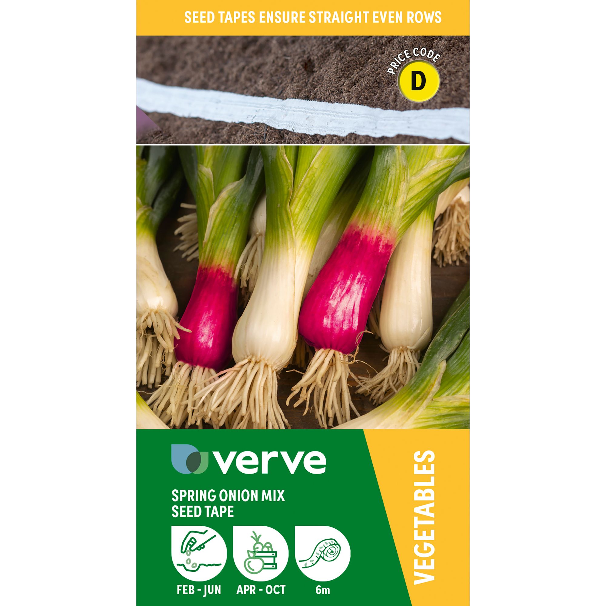 Verve Spring onion Seed tape 6m