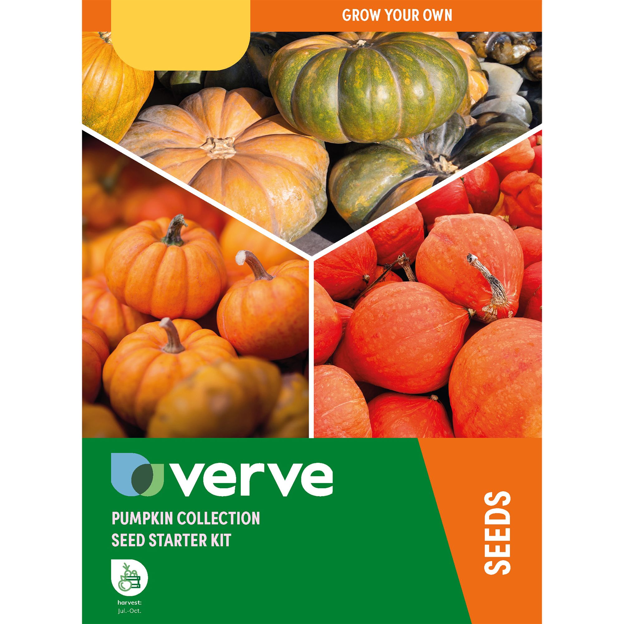 Verve Squash & gords Vegetable bulbs & seeds kit | DIY at B&Q
