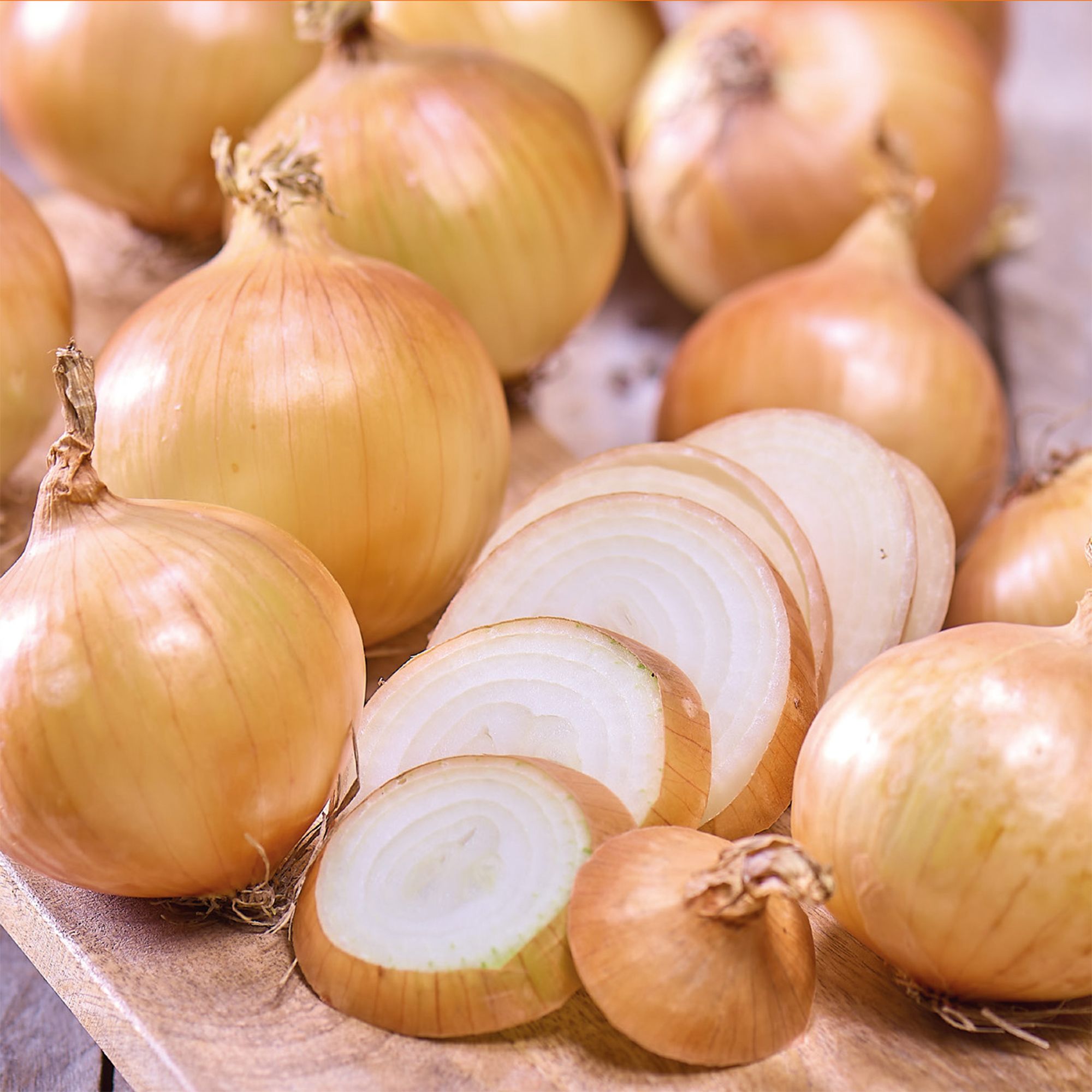 Verve Sturon Onion Sets