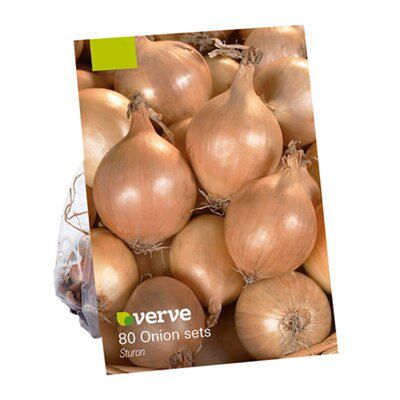 Verve Sturon Onion | DIY at B&Q