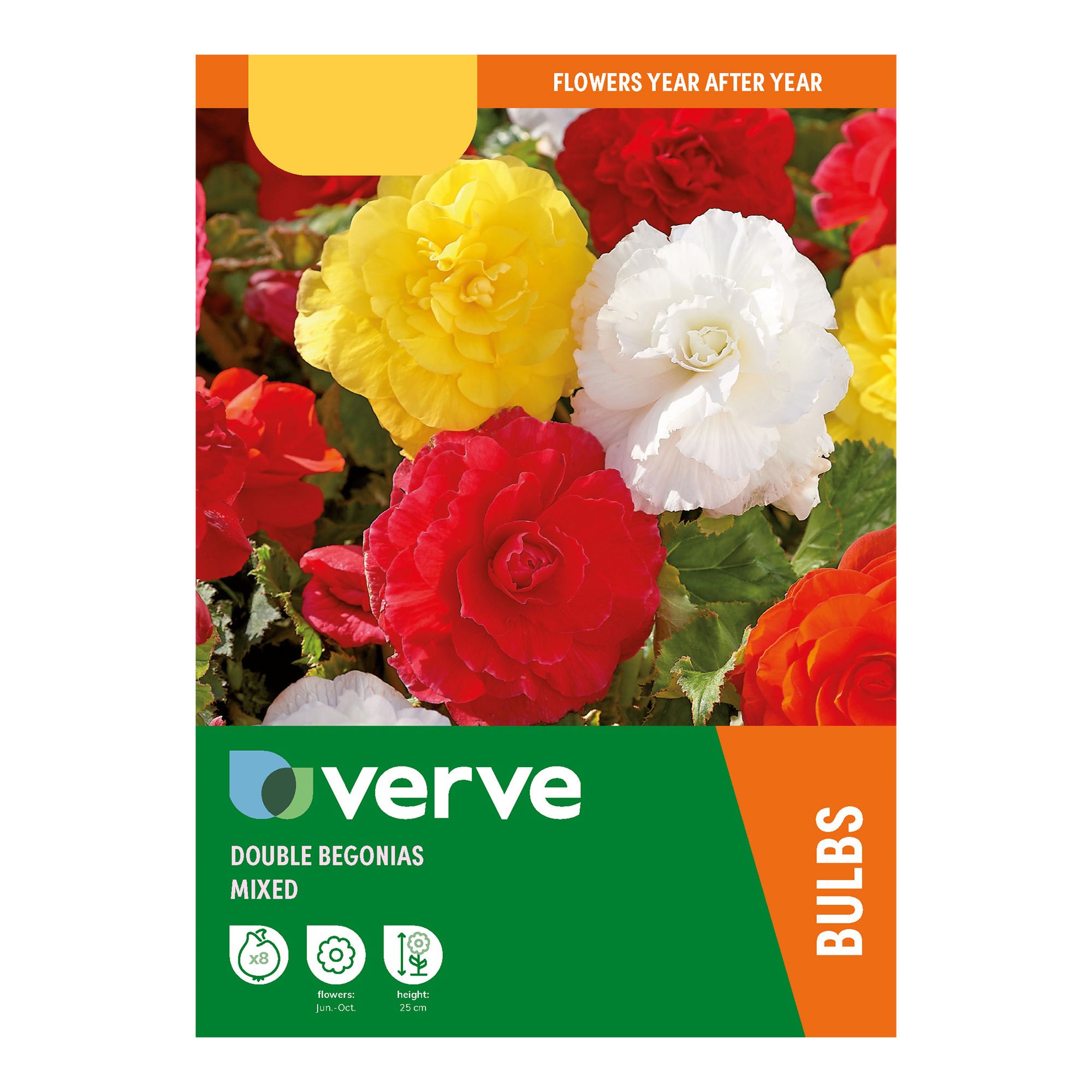 Verve Summer flowering bulb Begonia Mix 8 Flower bulbs