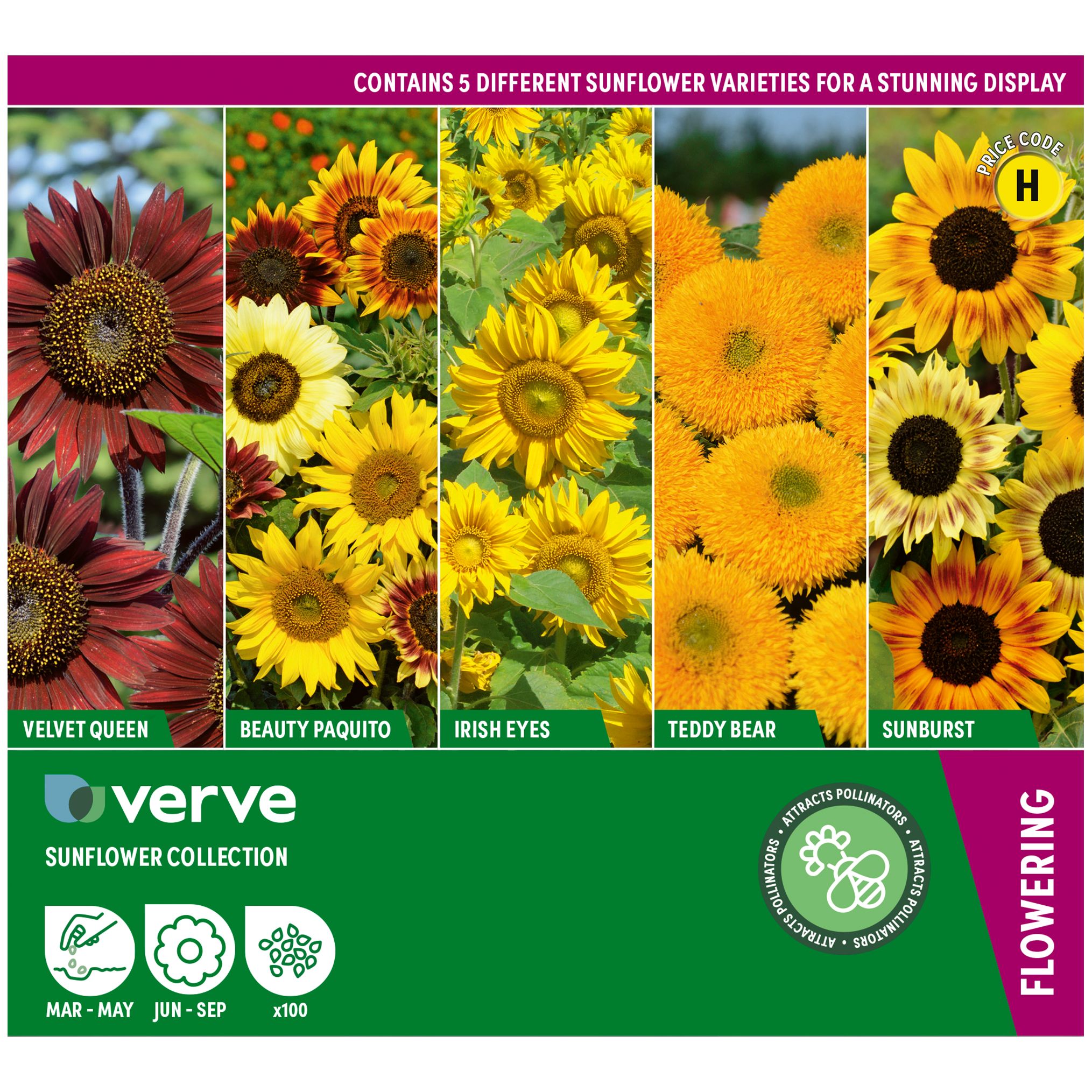Verve Sunflower Collection Seeds