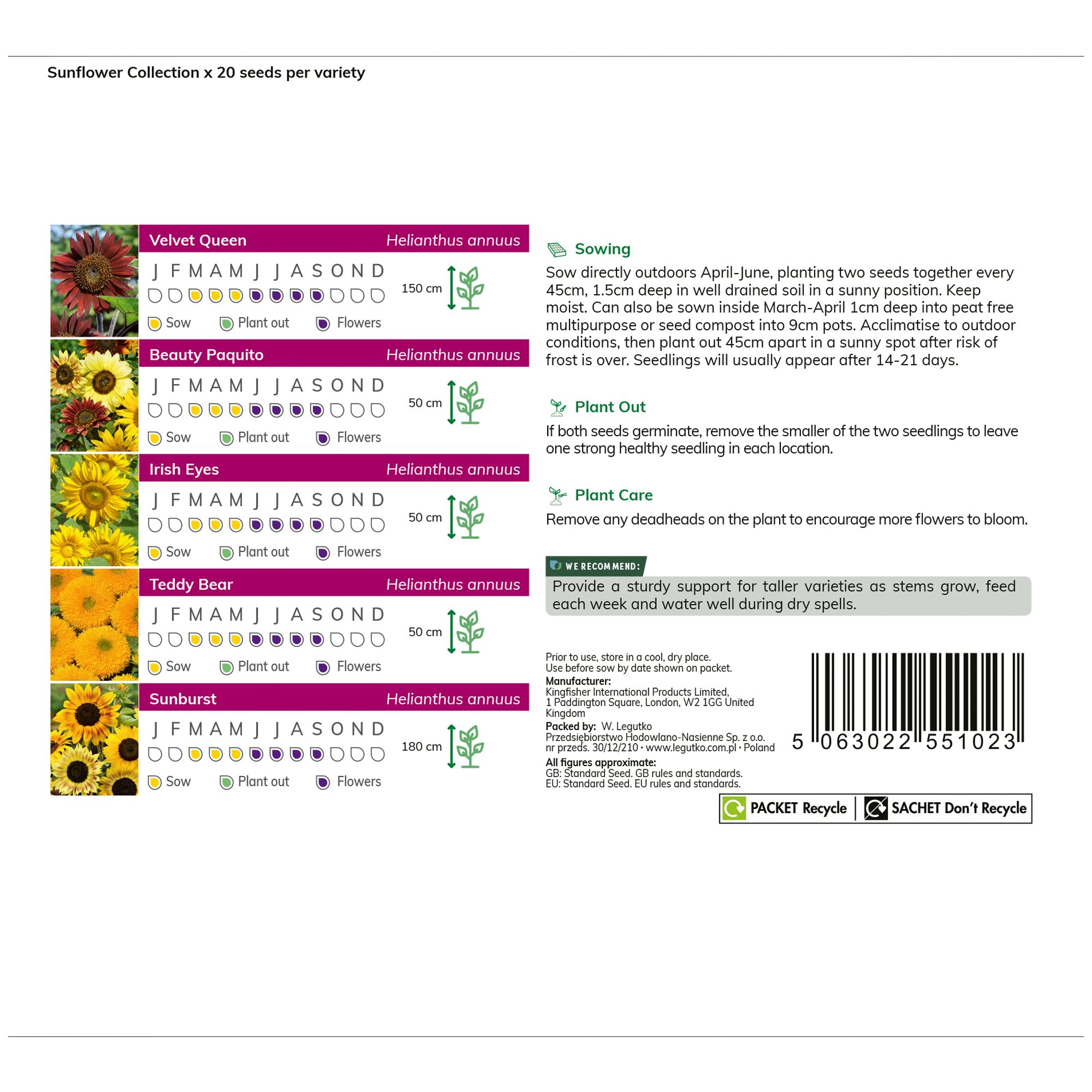 VERVE SUNFLOWER COLLECTION SEEDS