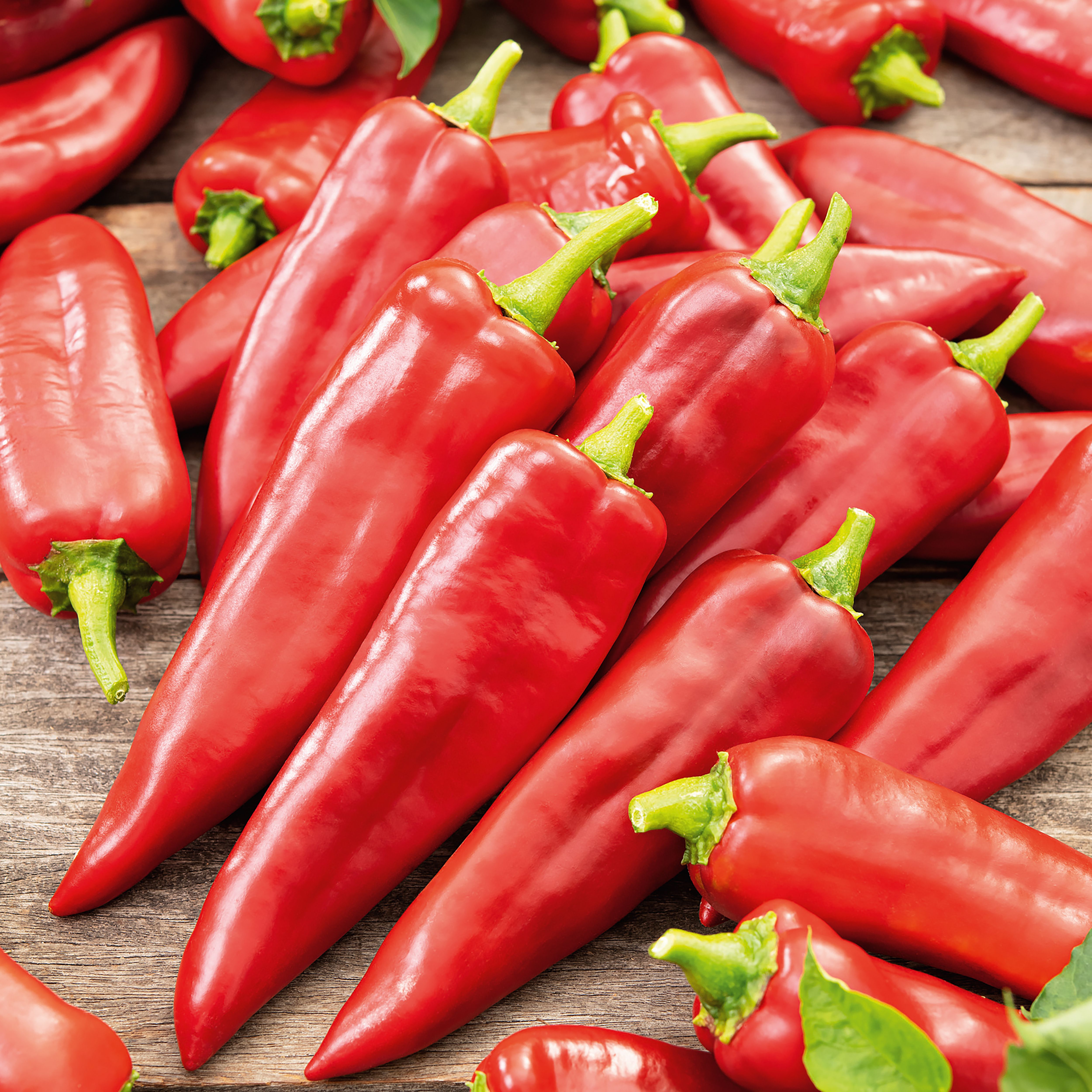 Verve Sweet pepper 'Corno Di Toro Rosso' Vegetable Seeds