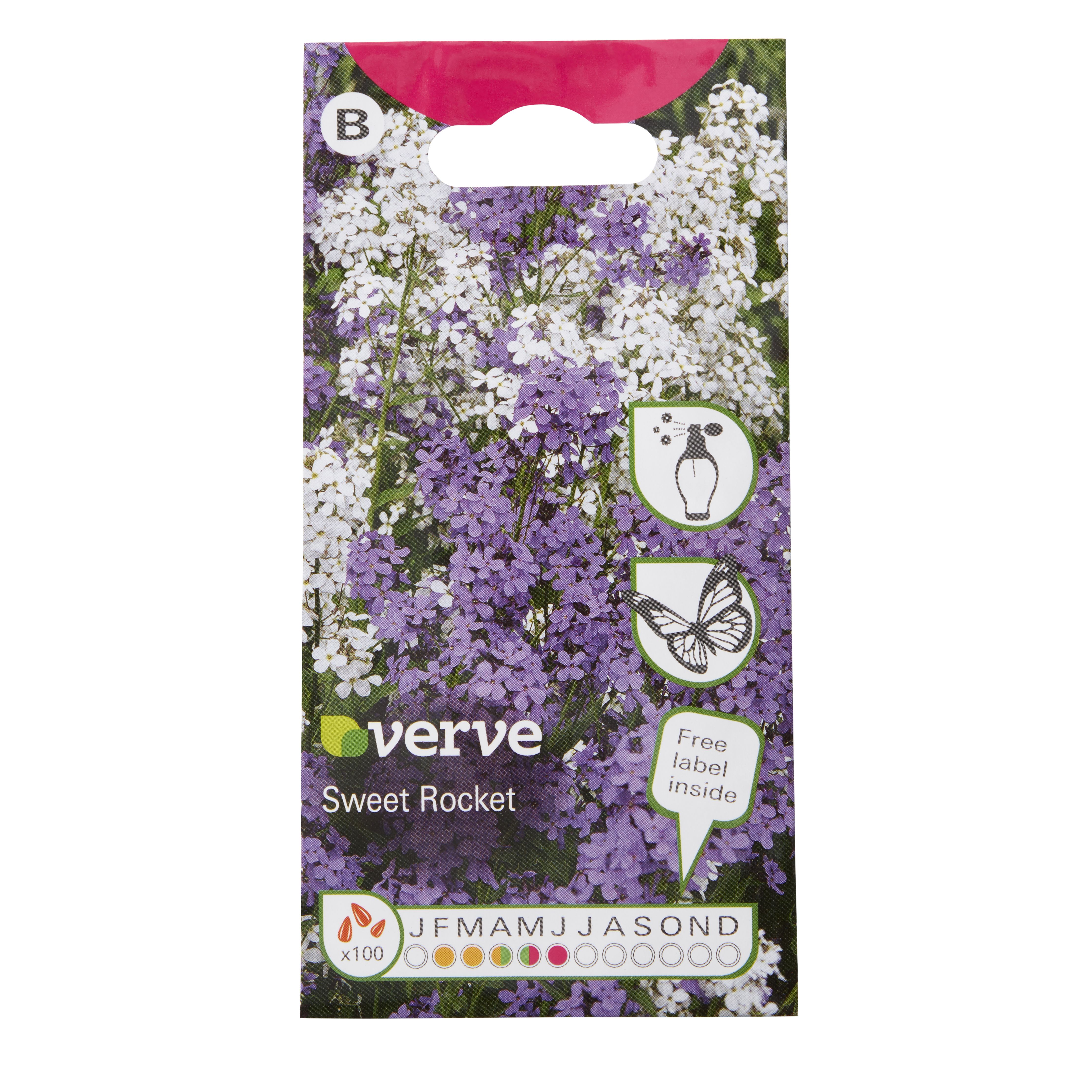 Verve Sweet rocket Seeds