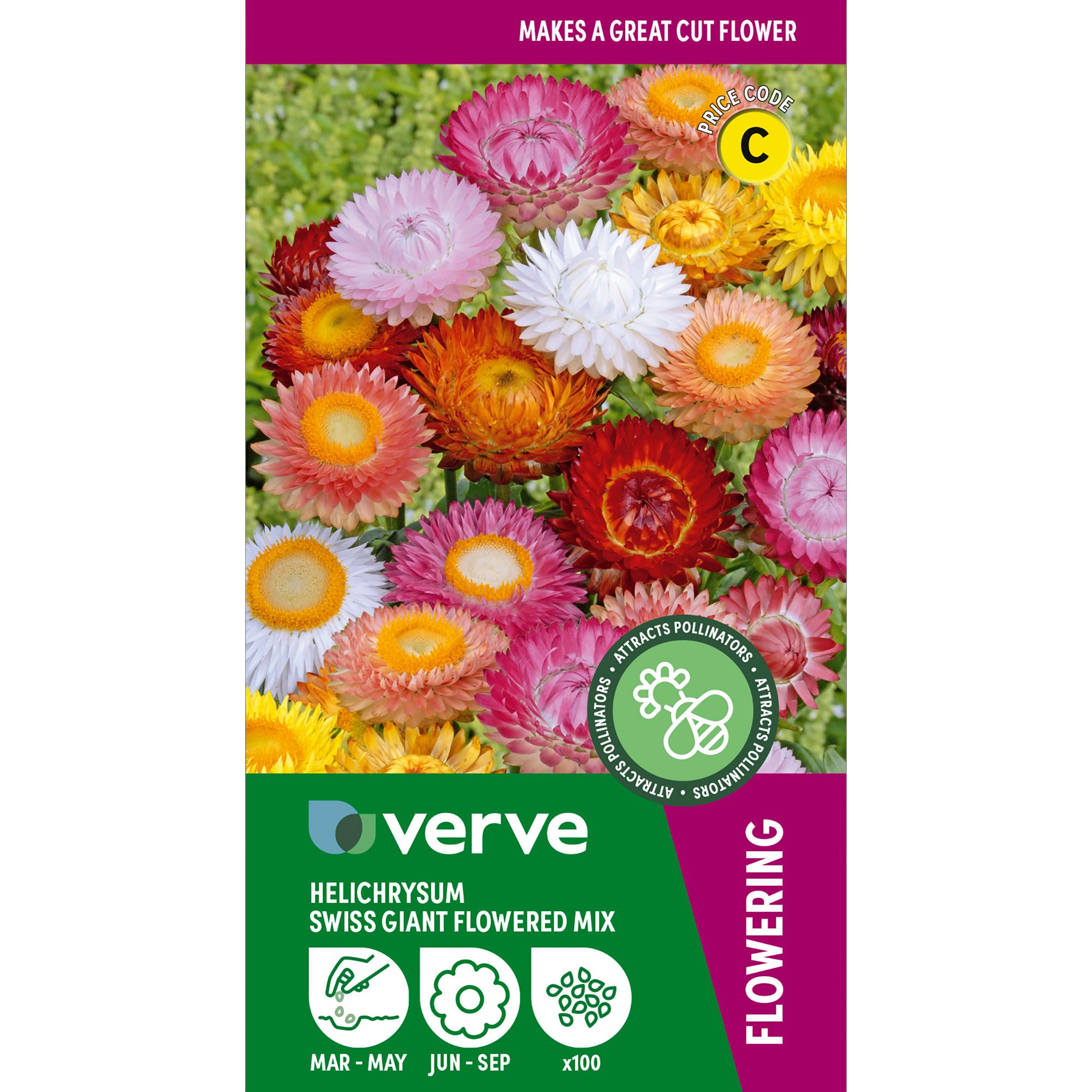 Verve Swiss Giant Flowered Mix Helichrysum Seeds