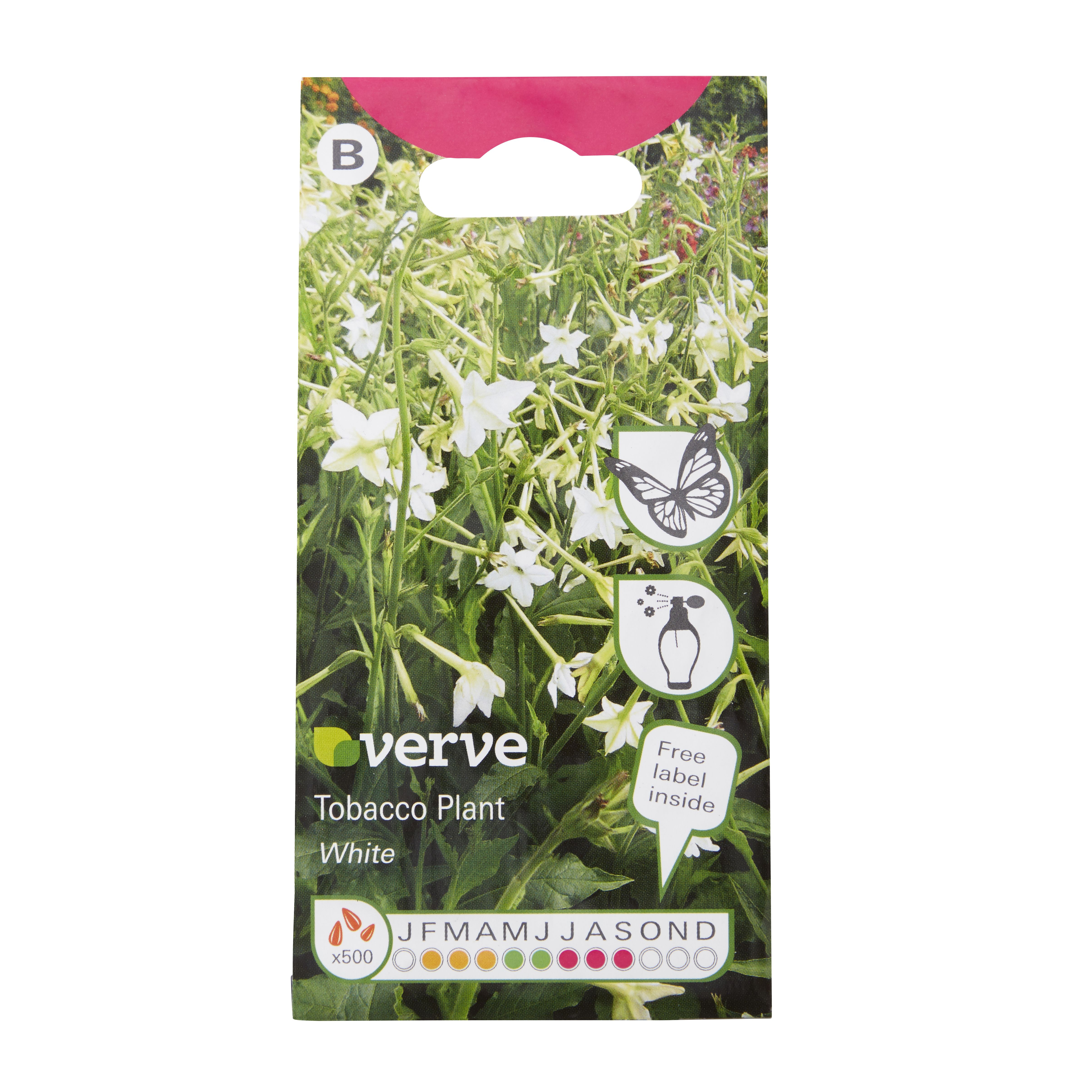 Verve Tobacco plant Seeds