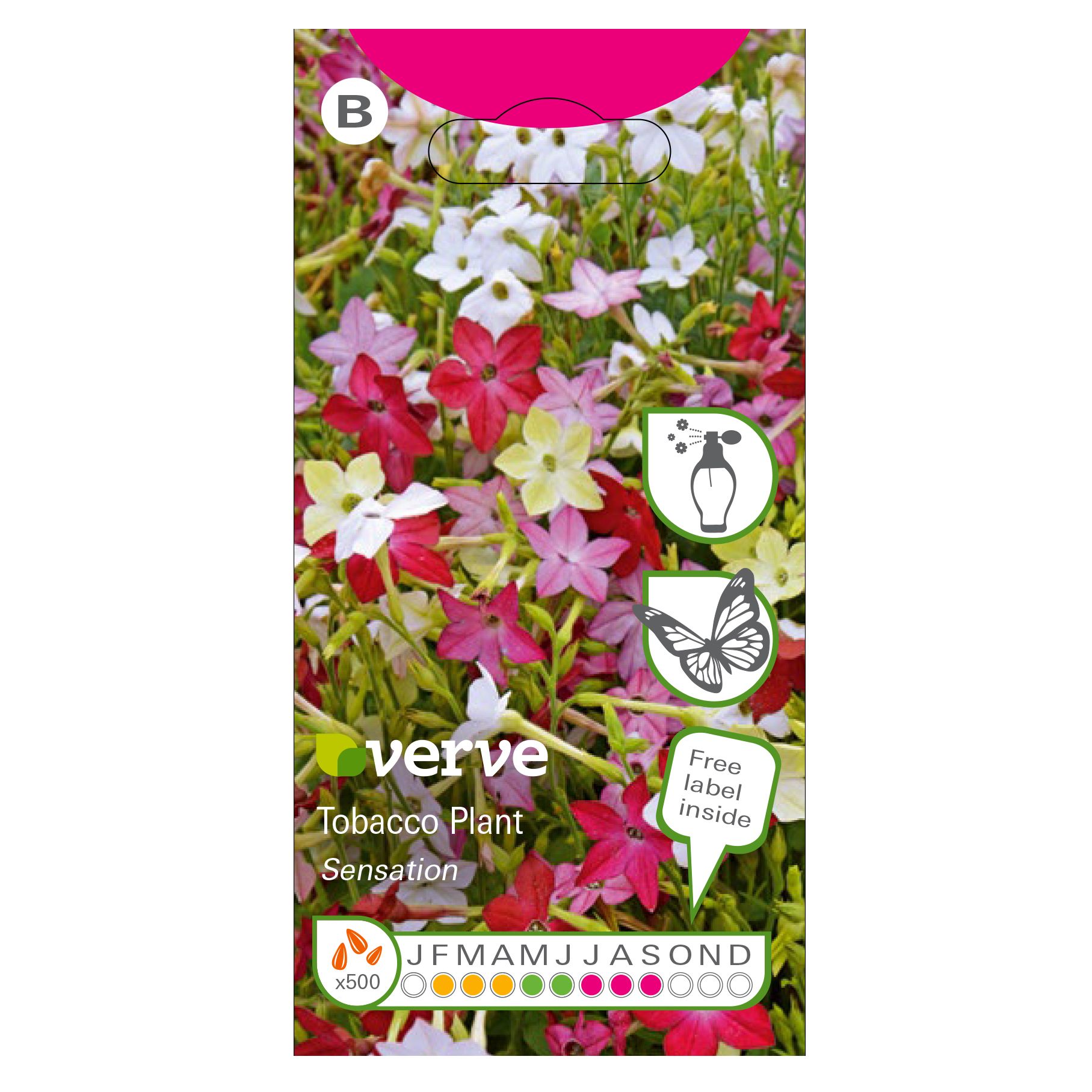 Verve Tobacco plant sensation Seeds | £1.75 at B&Q