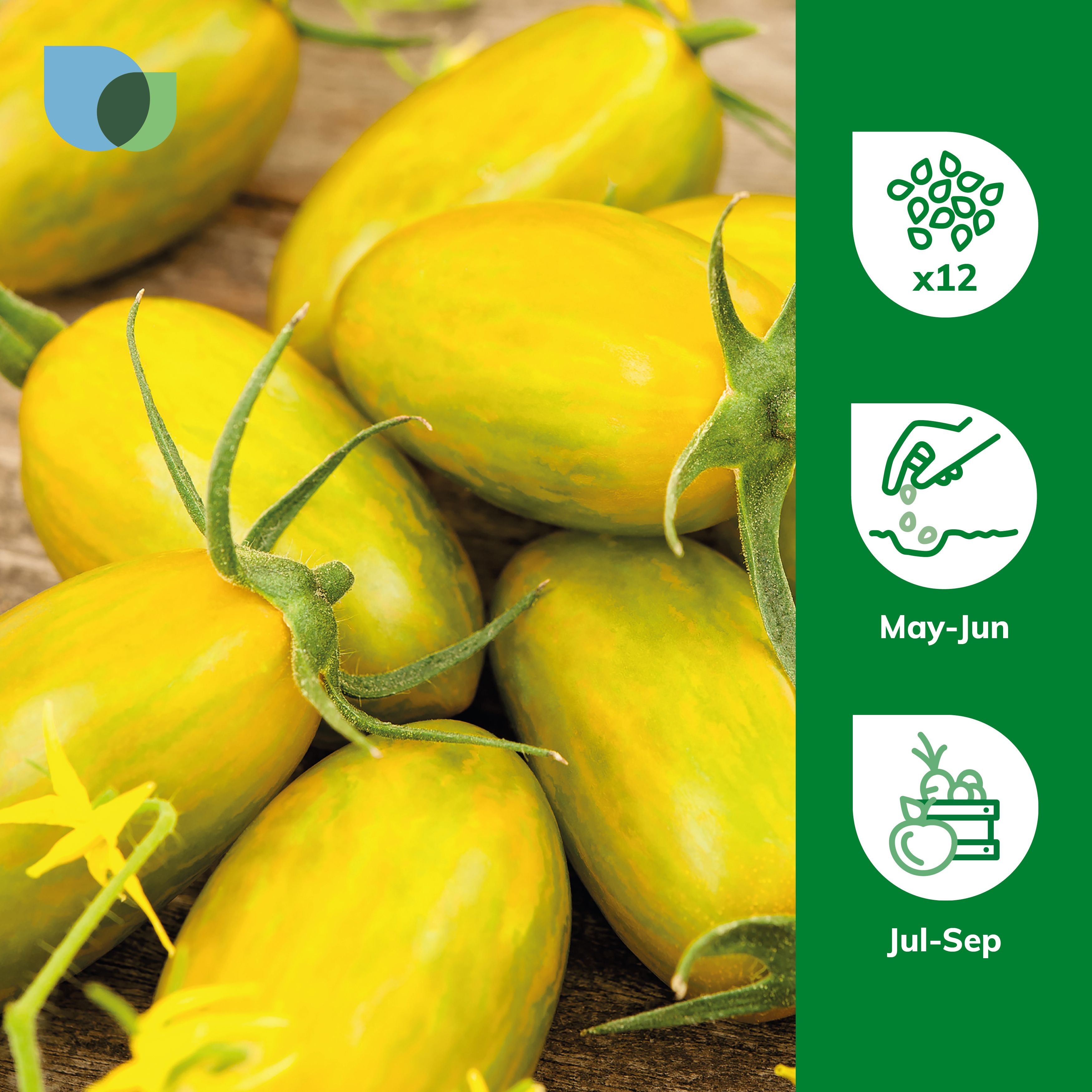 Verve Tomato 'Artisan Green Tiger' Vegetable Seeds