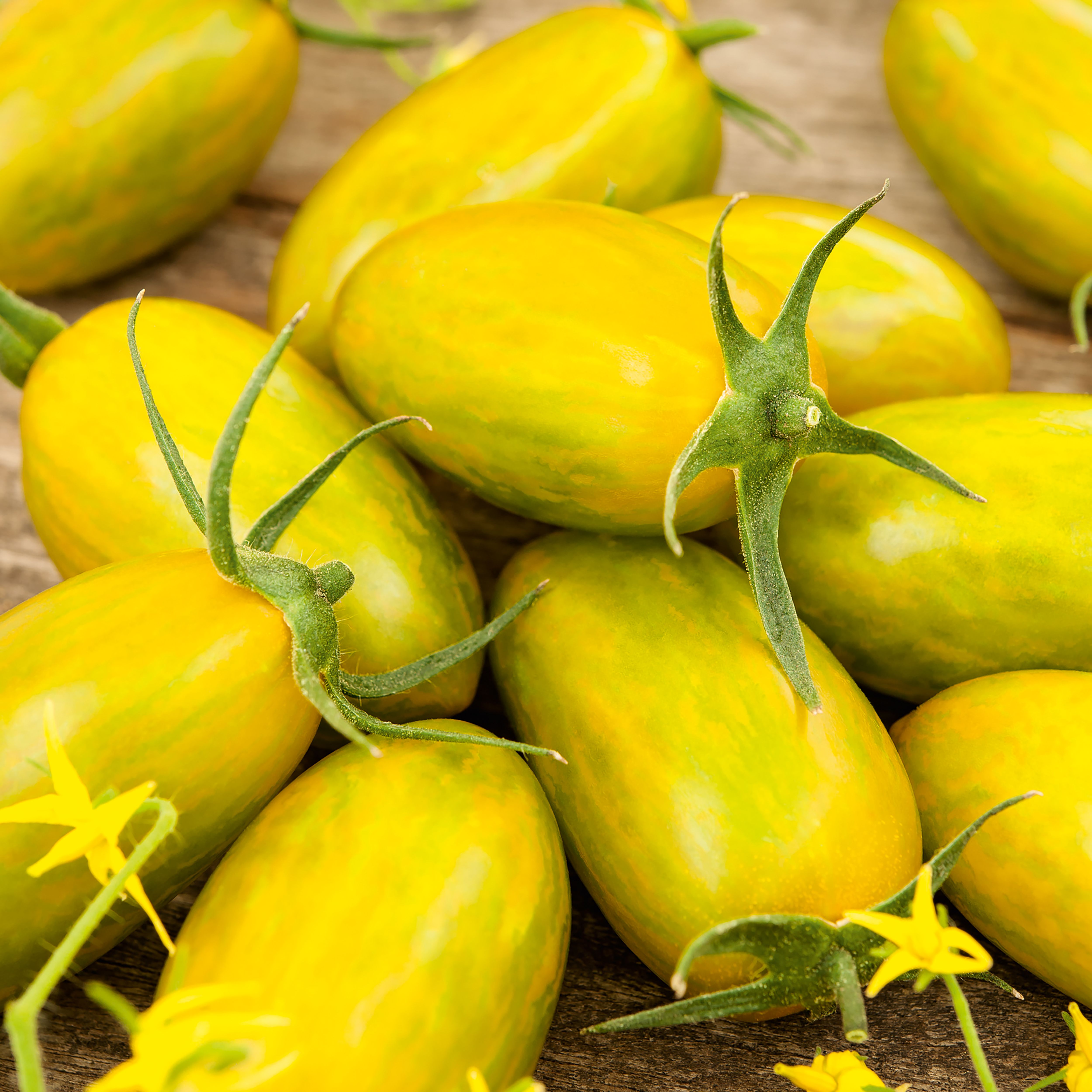 Verve Tomato 'Artisan Green Tiger' Vegetable Seeds