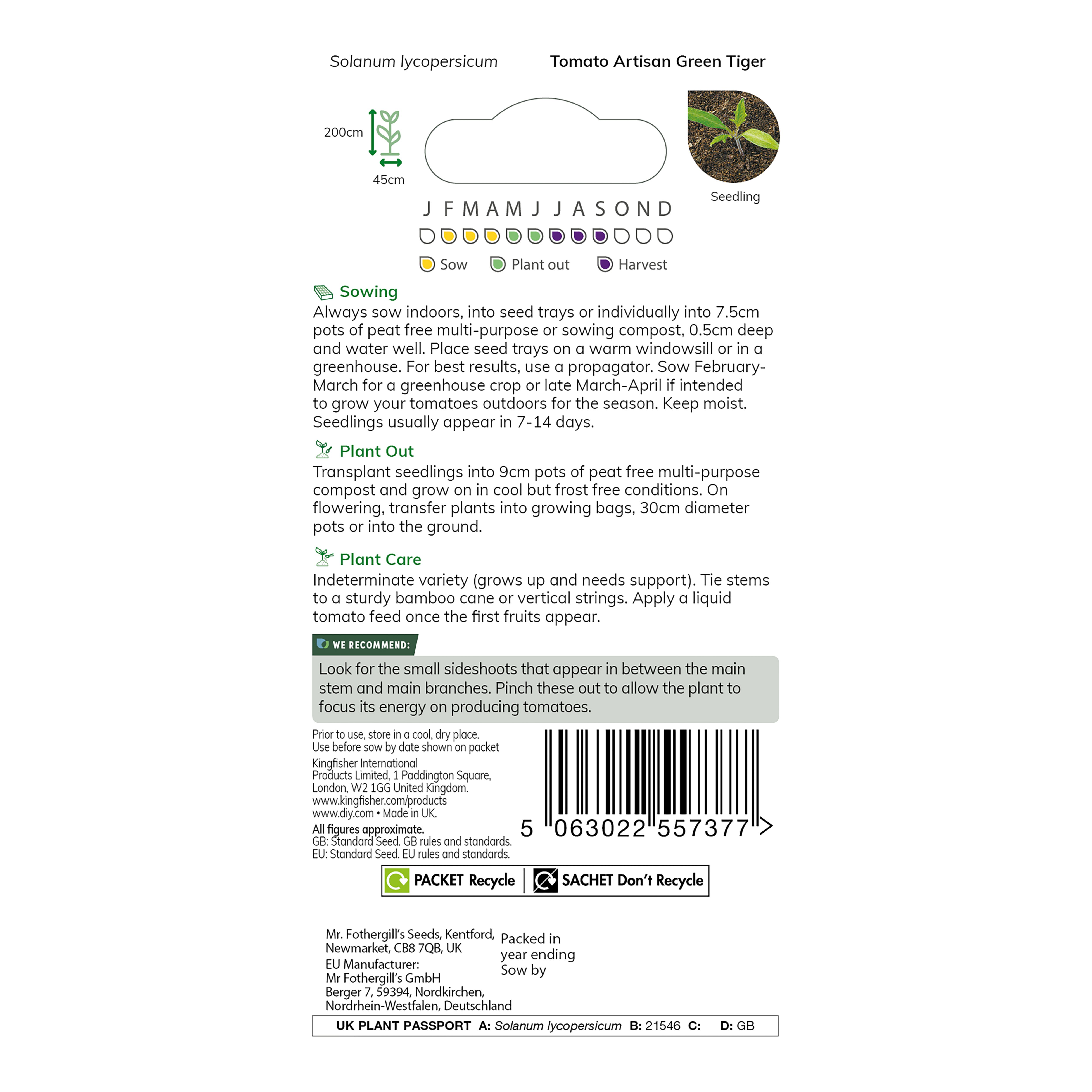Verve Tomato 'Artisan Green Tiger' Vegetable Seeds