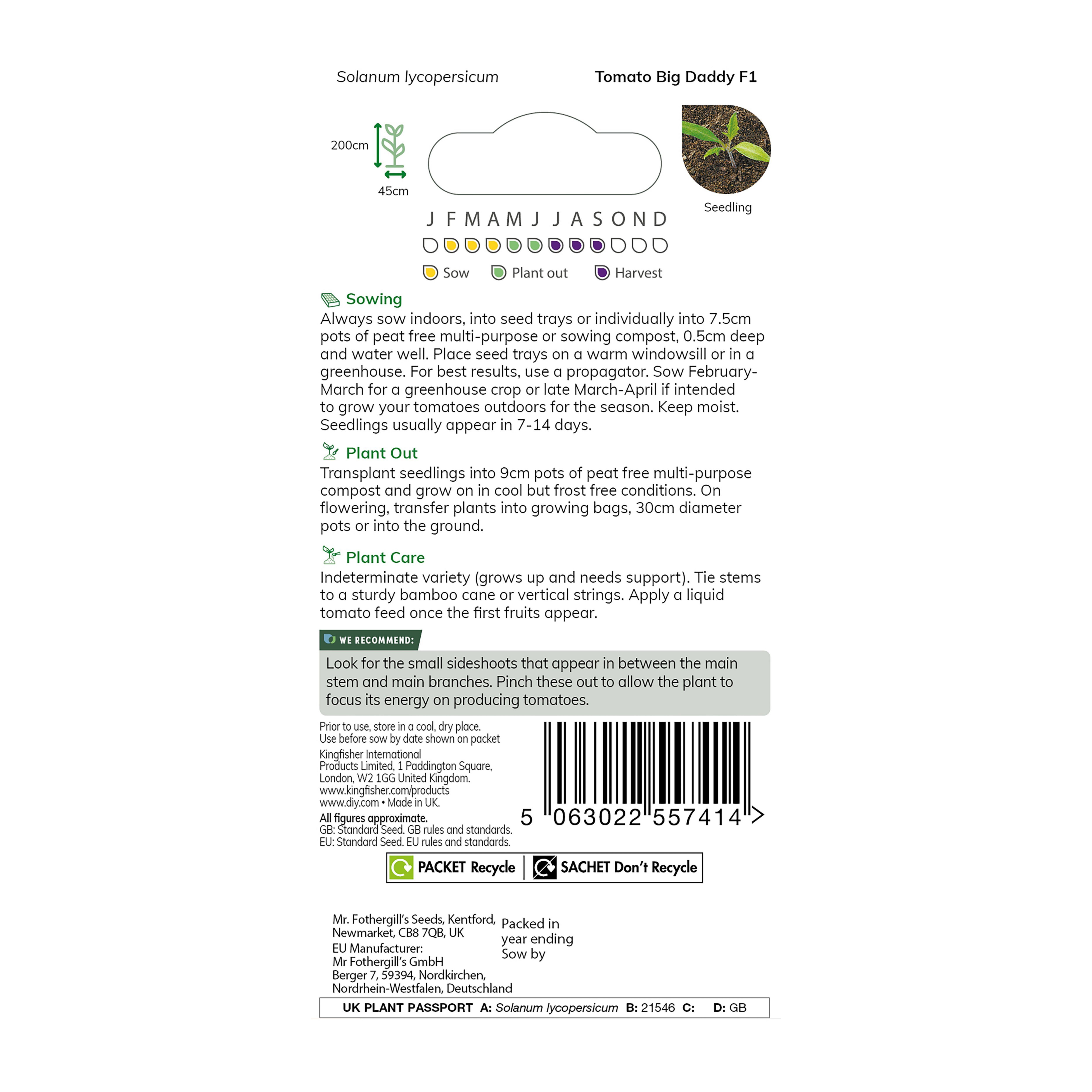 Verve Tomato 'Big Daddy F1' Vegetable Seeds