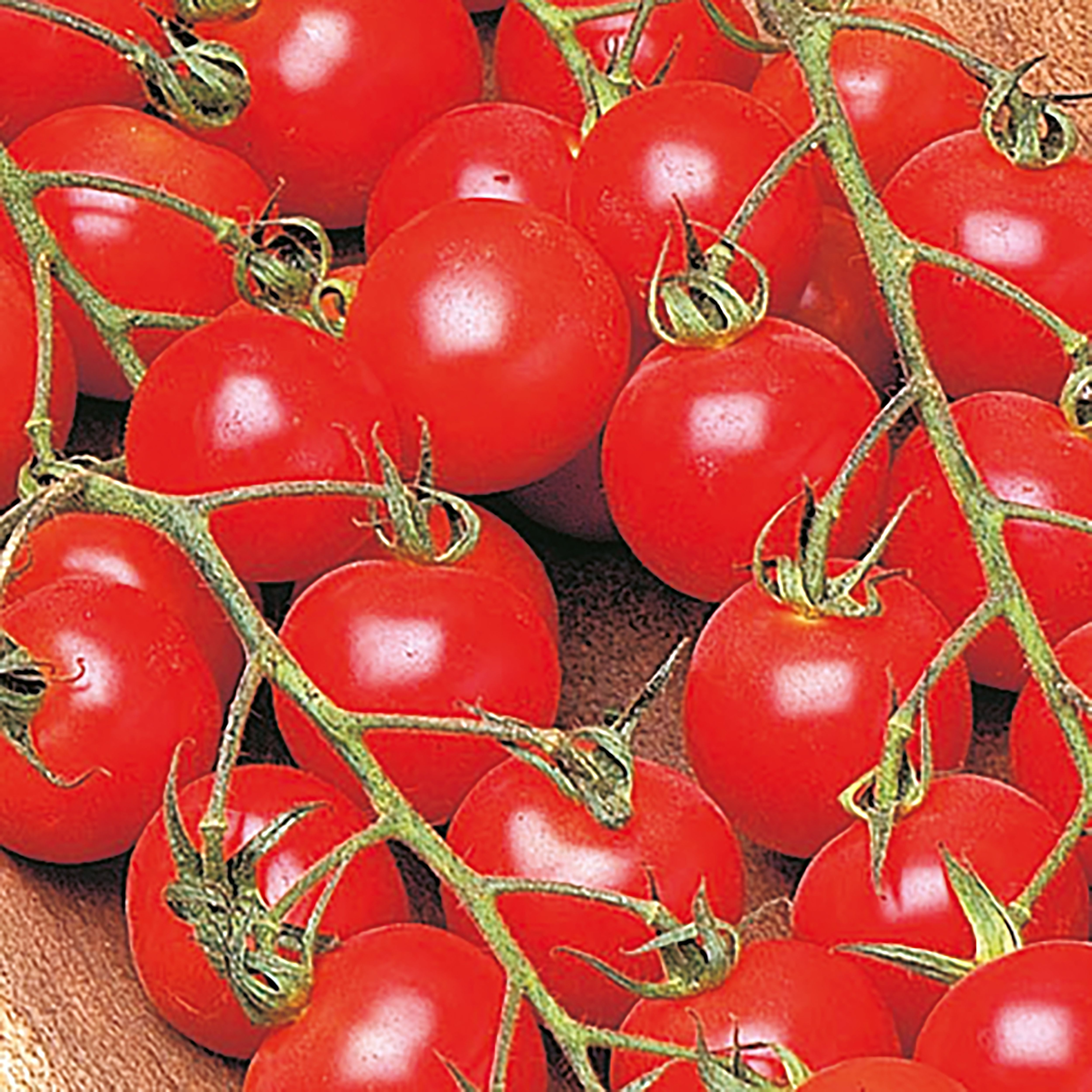 Verve Tomato 'Cherry Mix' Vegetable Seeds