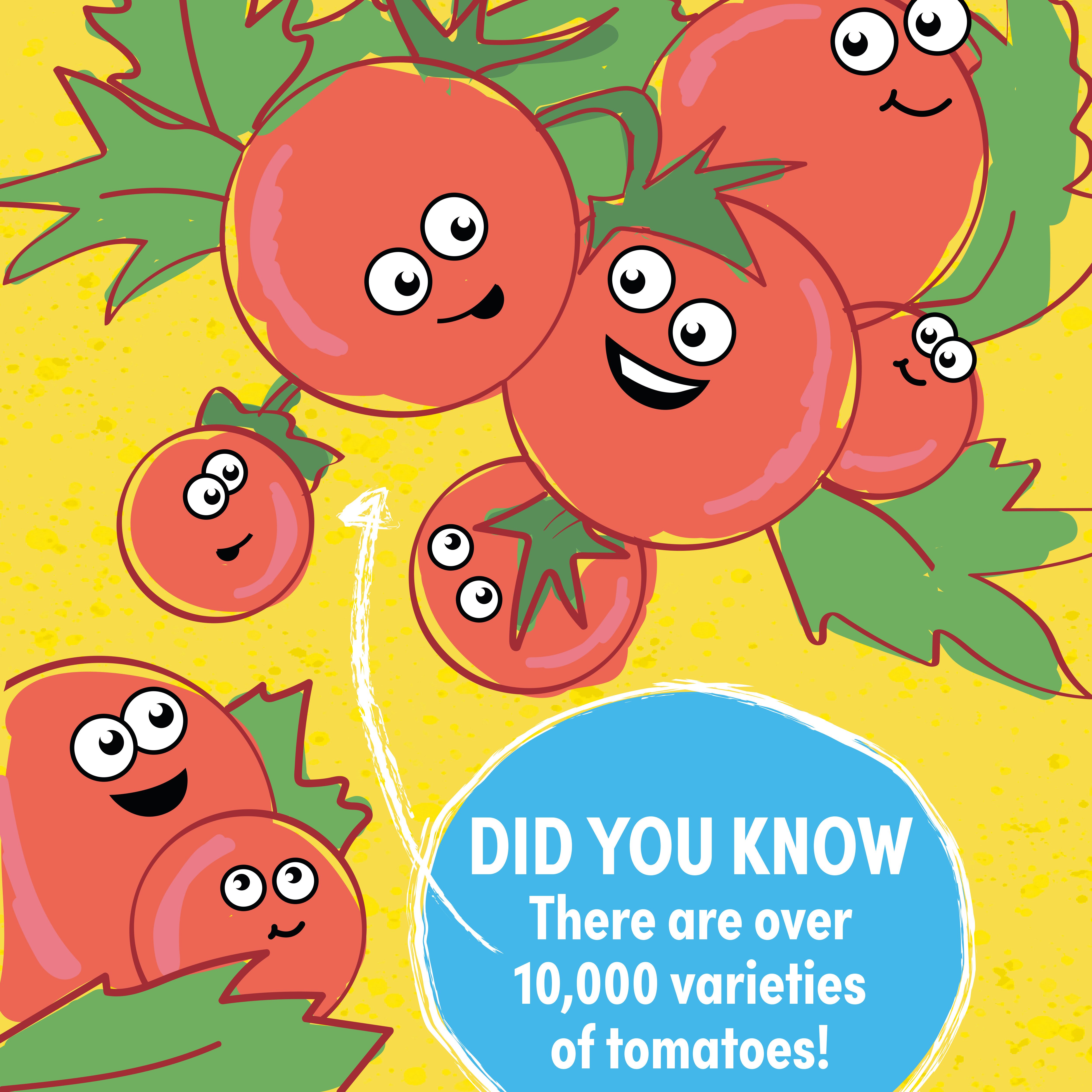 Verve Tomato 'Cherry' Vegetable Seeds