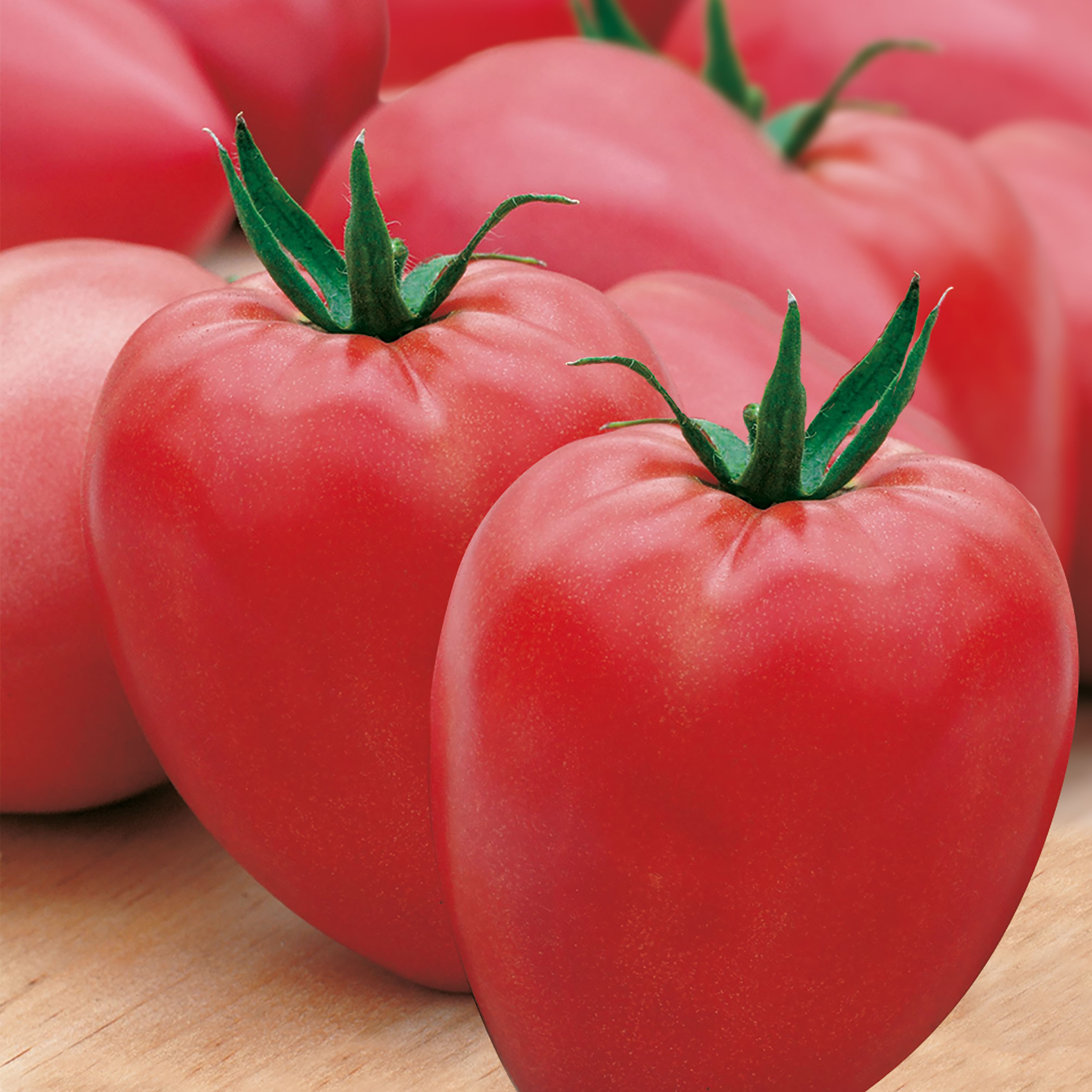 Verve Tomato 'Oxheart' Vegetable Seeds