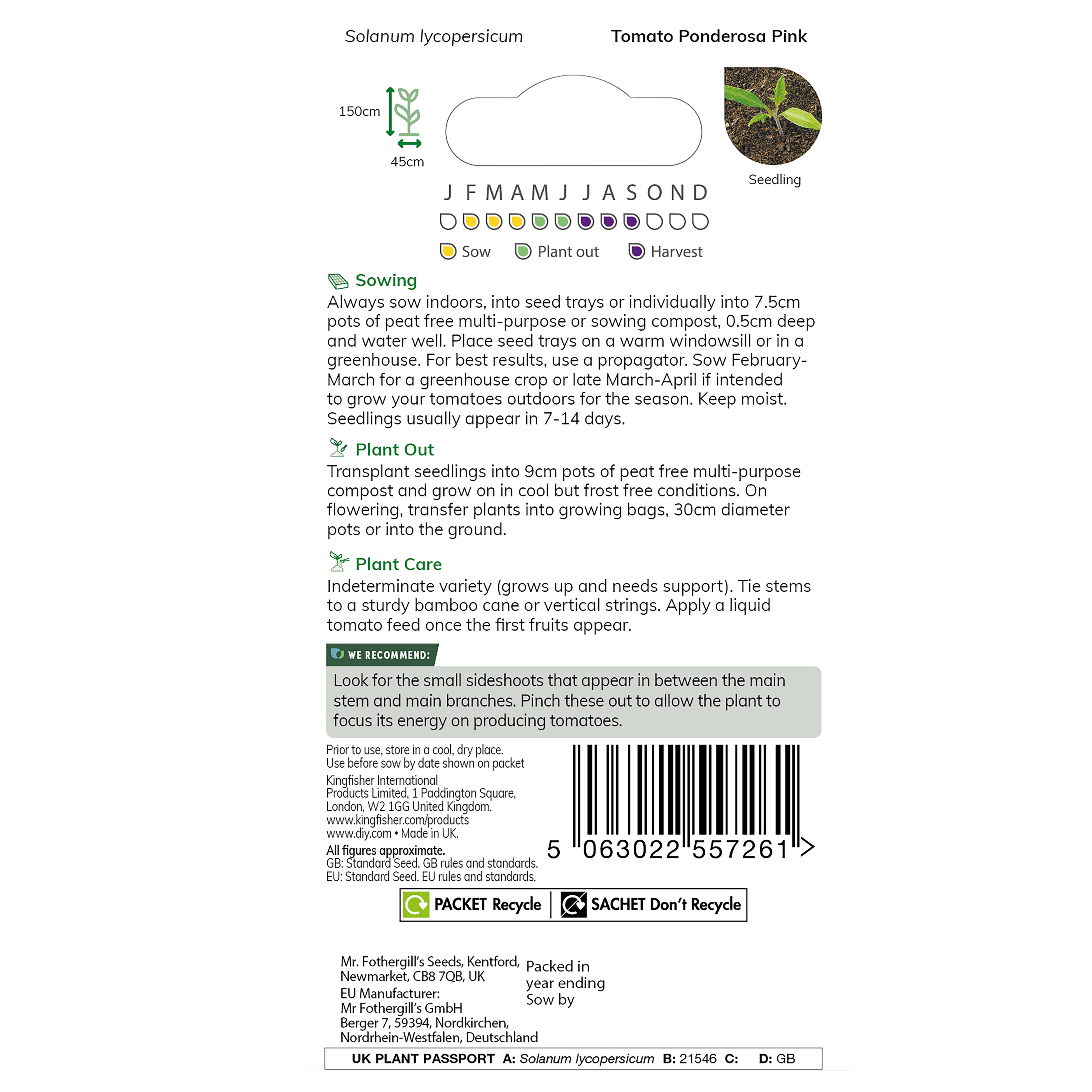 VERVE TOMATO 'PONDEROSA PINK' VEGETABLE SEEDS