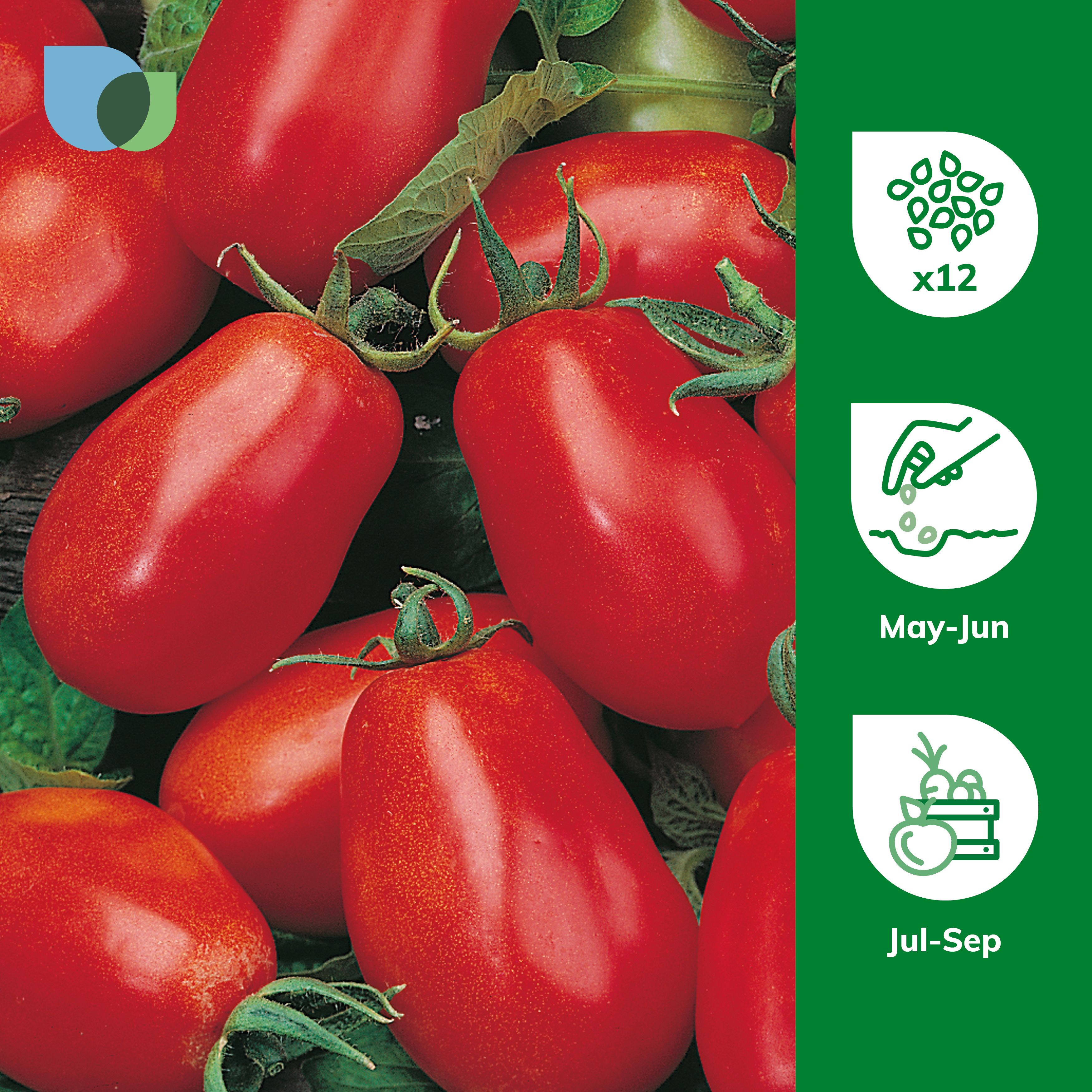 Verve Tomato 'Roma VF' Vegetable Seeds