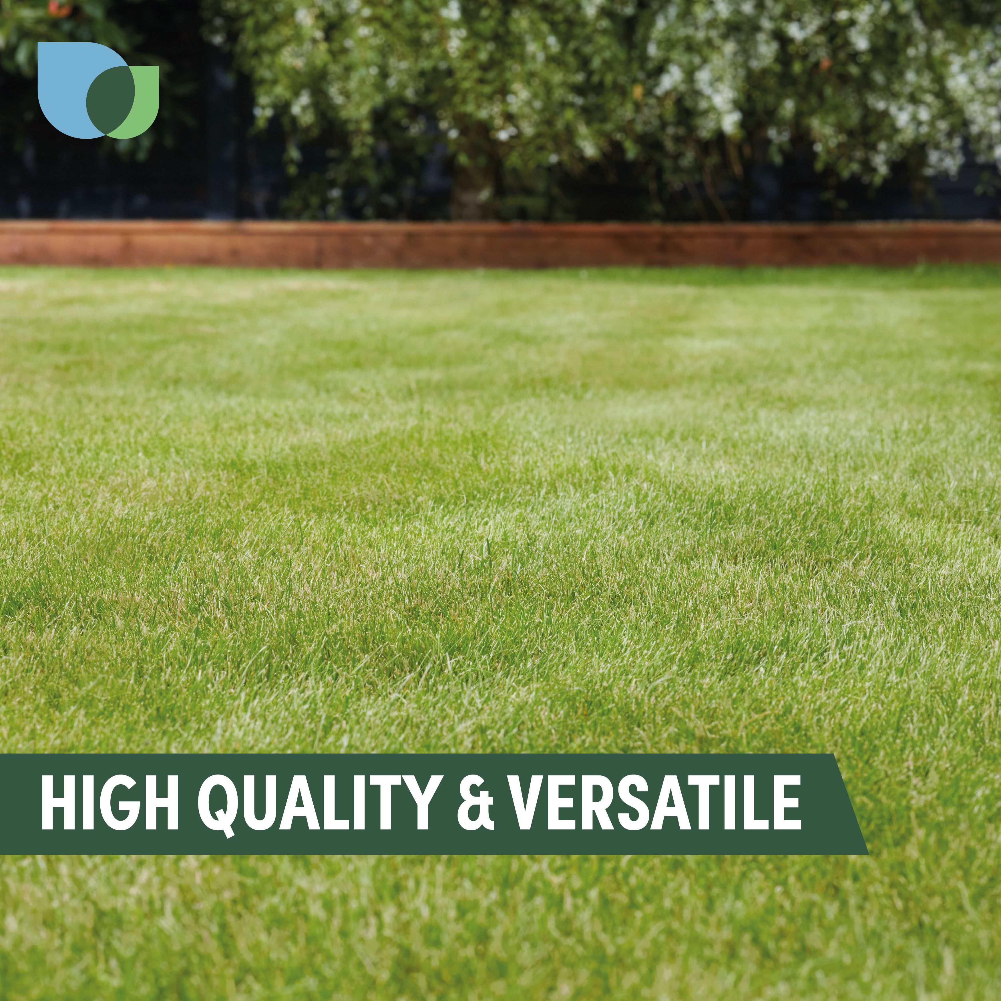 Verve Universal Grass seeds, 0.5kg 20m²