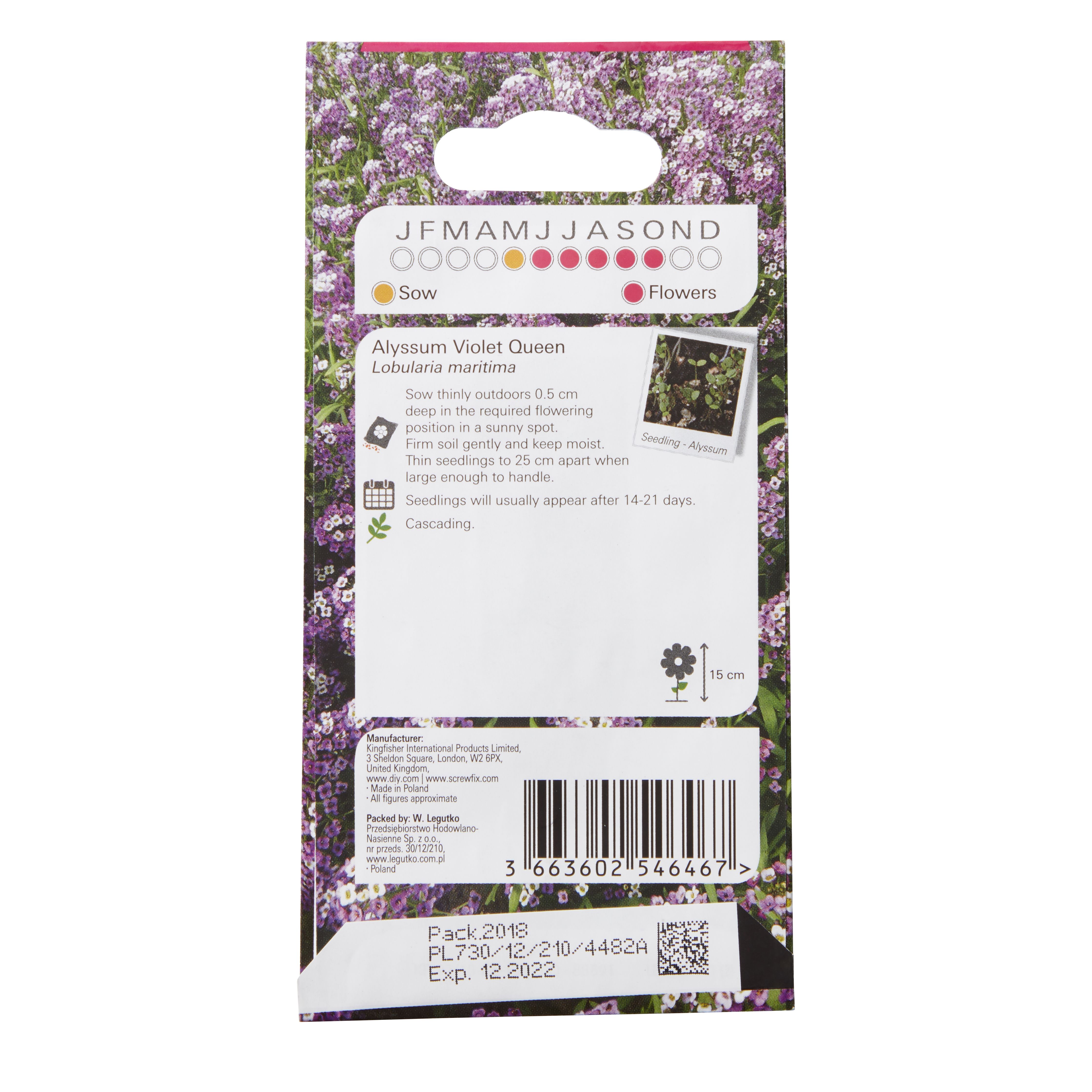 Verve Violet queen Alyssum Seeds