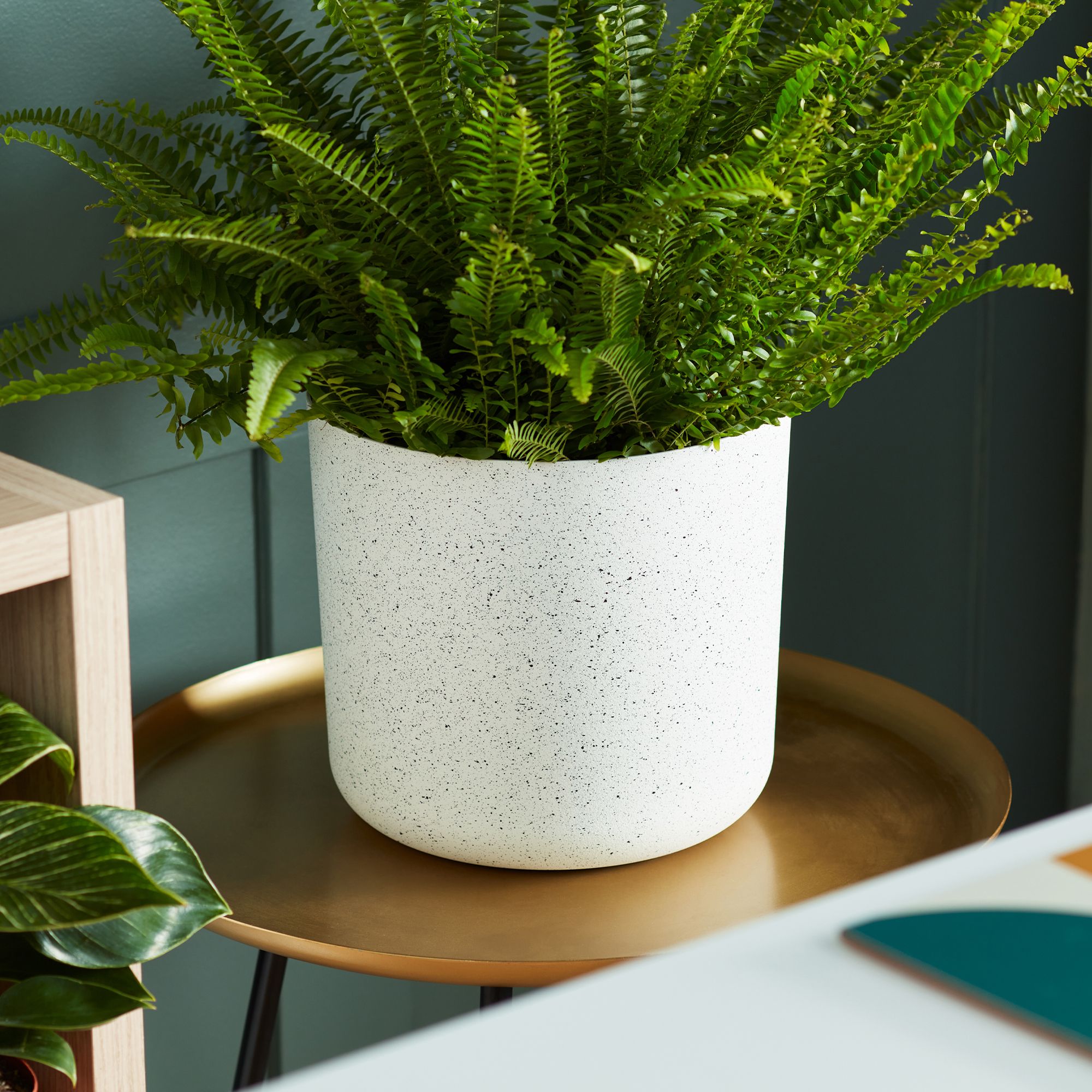 Verve White Recycled plastic Plant pot (Dia) 30cm, (H)28cm