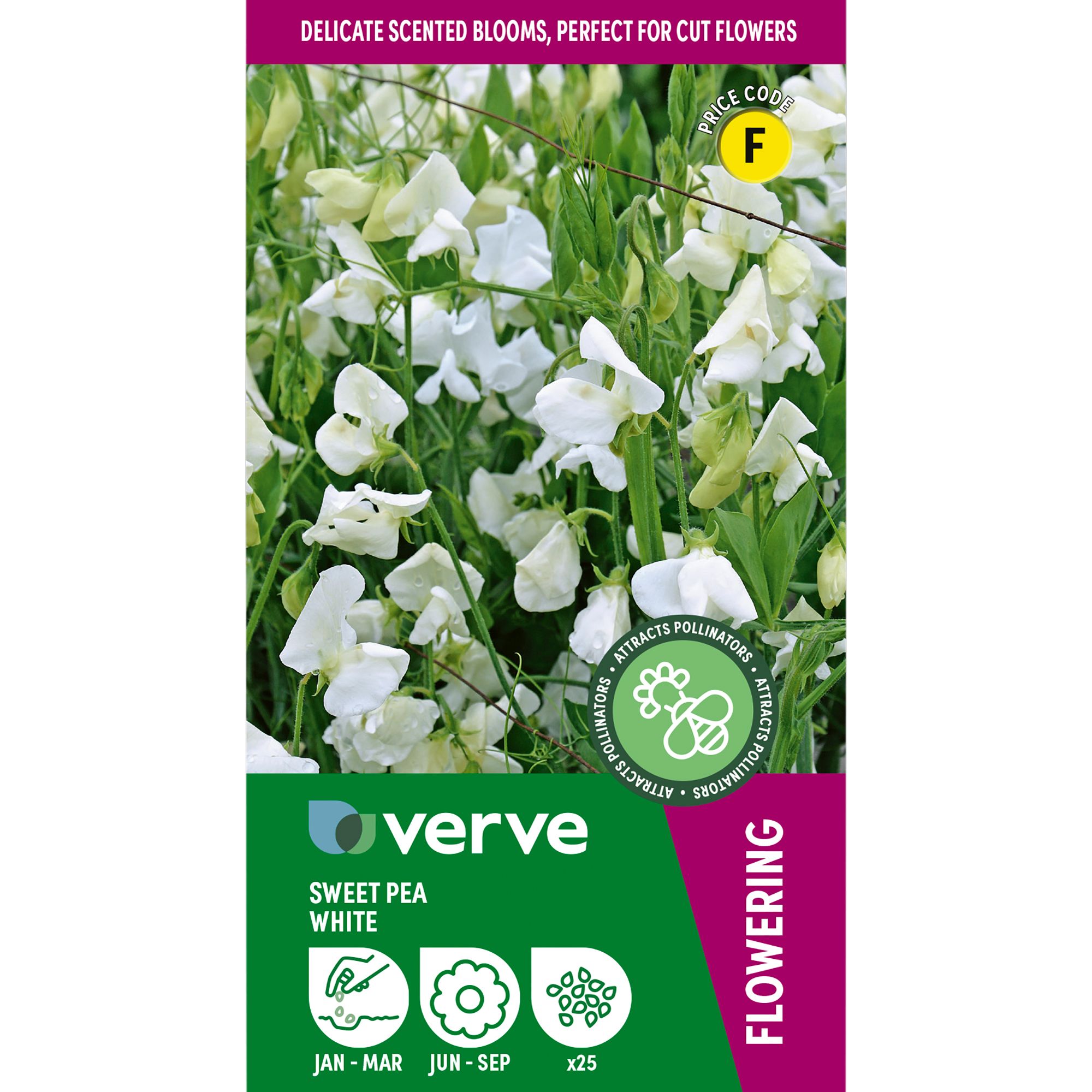 Verve White Sweet Pea Seeds
