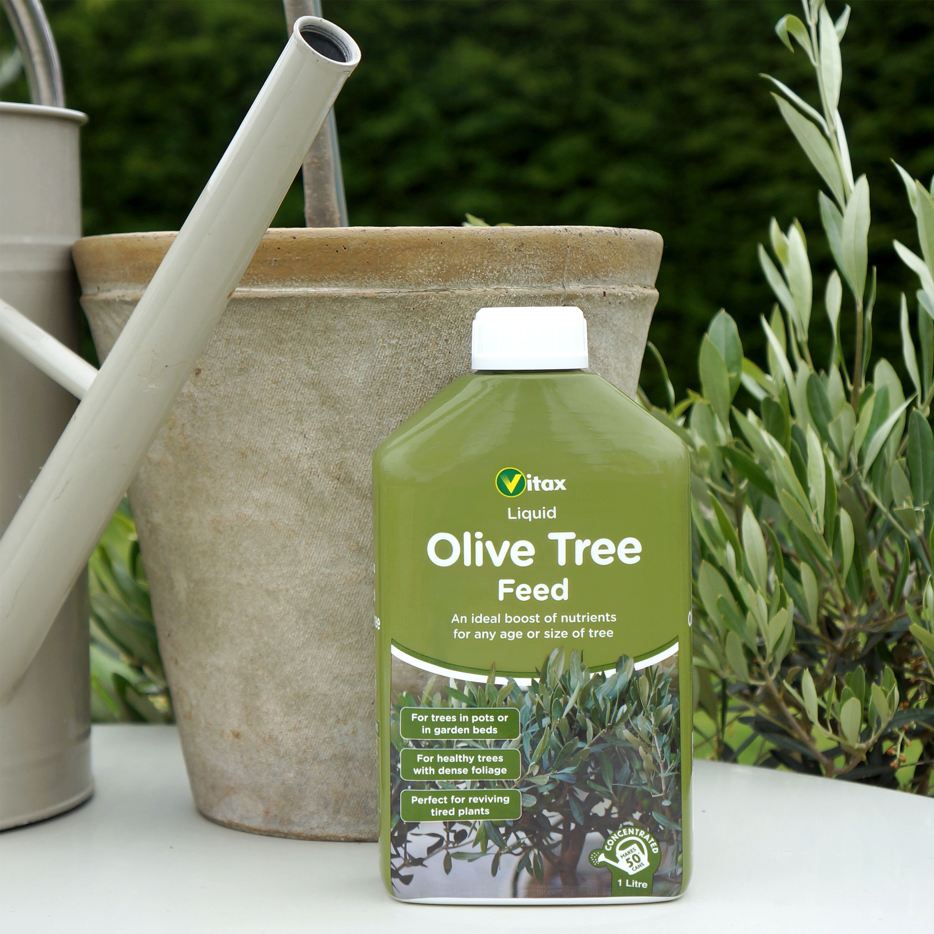 Vitax Olive Tree Liquid Plant feed, 1L