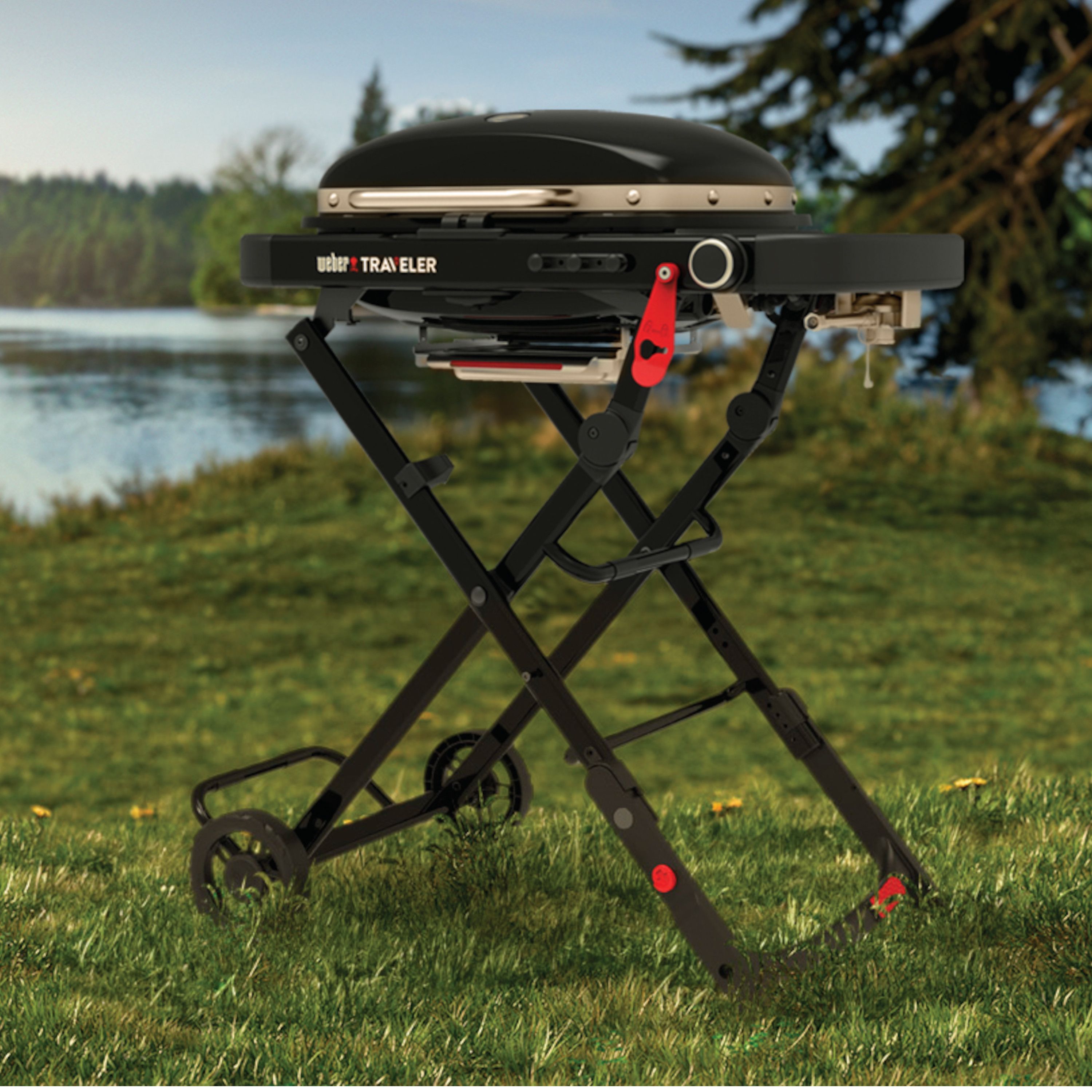 Weber bbq uk store