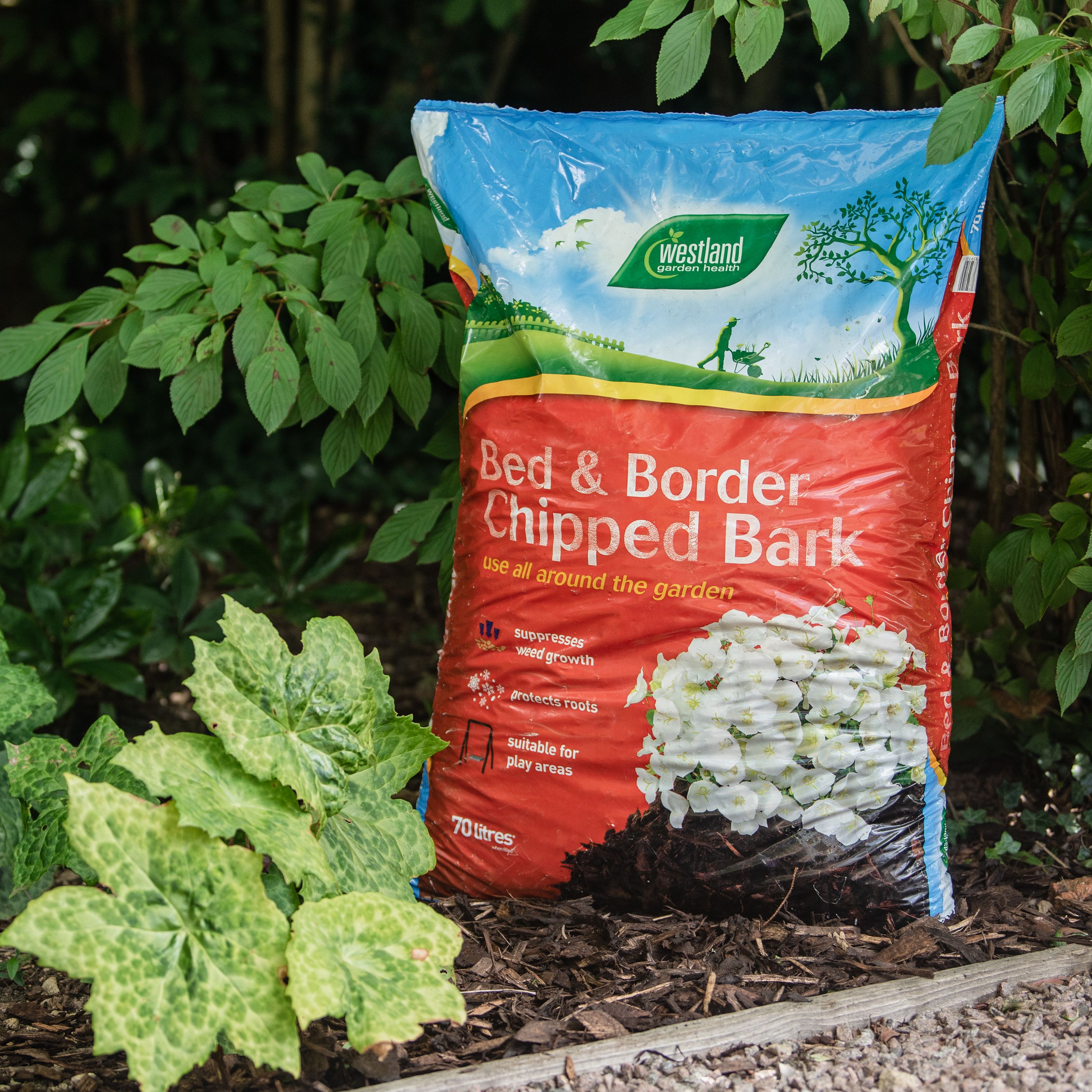 Westland Bed & border Brown Large Bark chippings 70L Bag