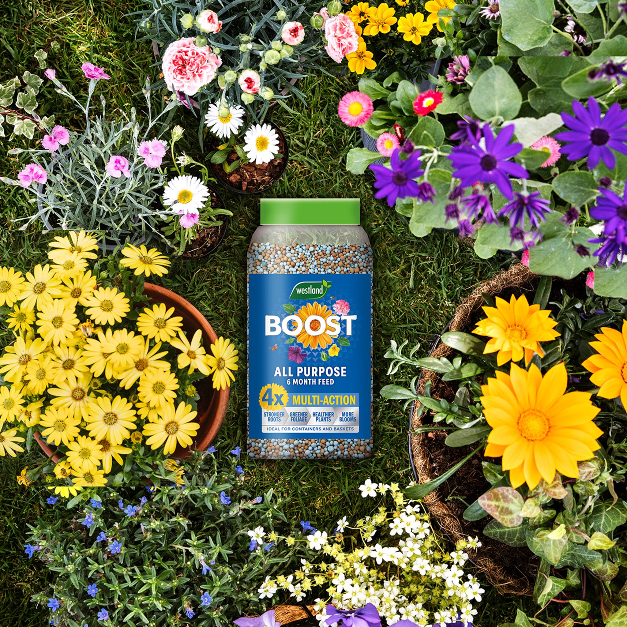 Westland Boost Flowers & vegetables Plant feed Granules 0.9kg