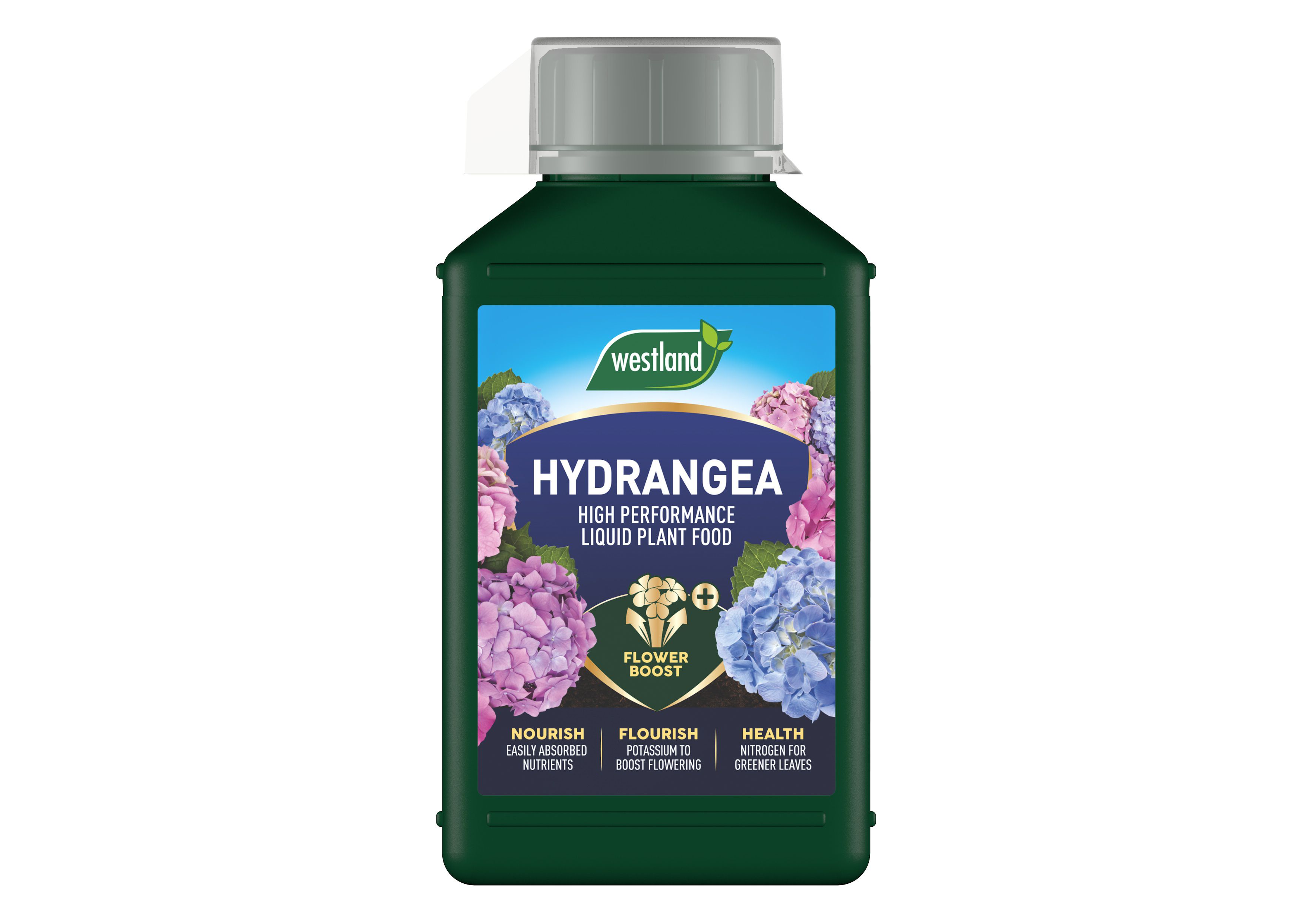 Westland Hydrangea Liquid Plant feed, 1L