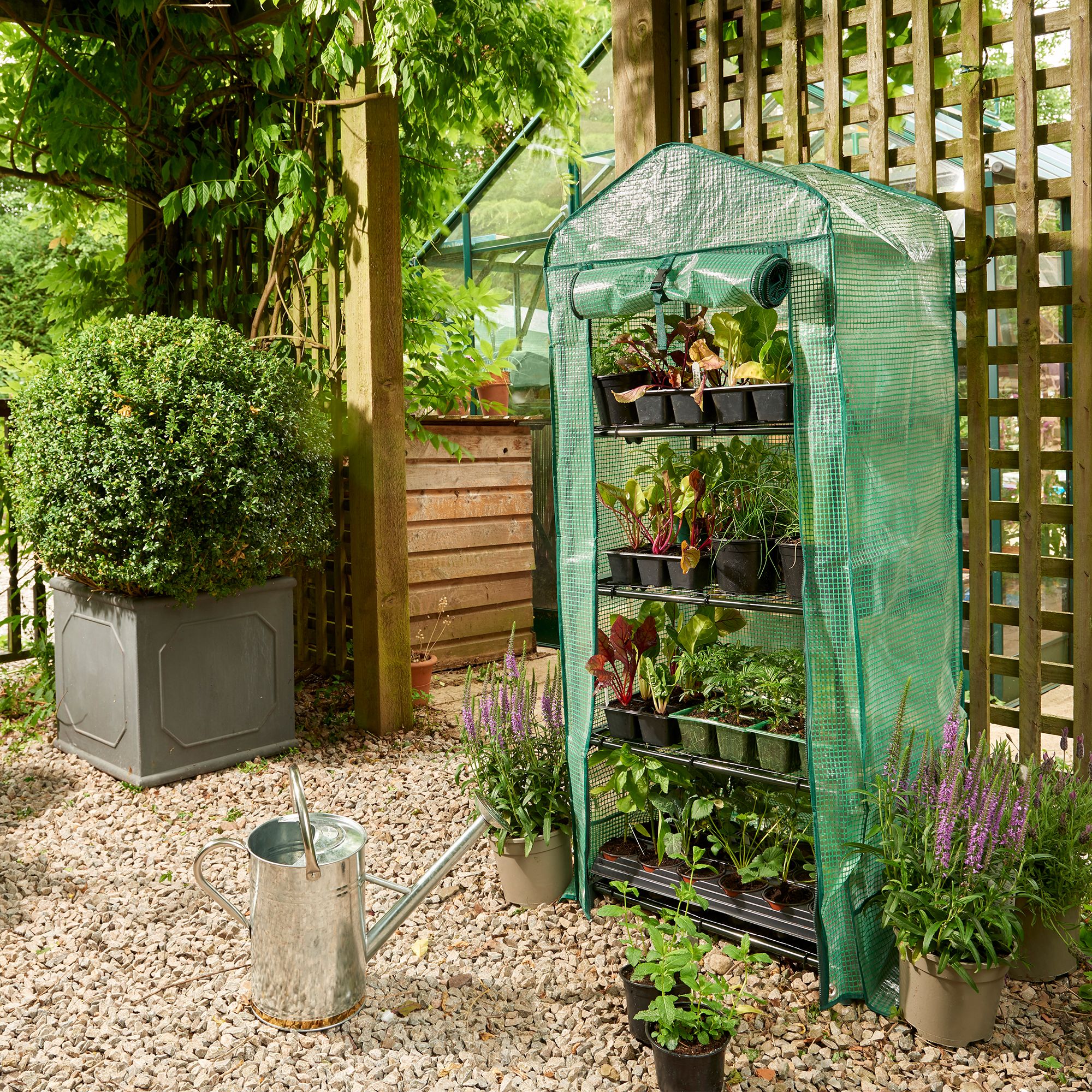 Westland Plastic Grow It Premium 4 Tier Compact Growhouse | DIY at B&Q