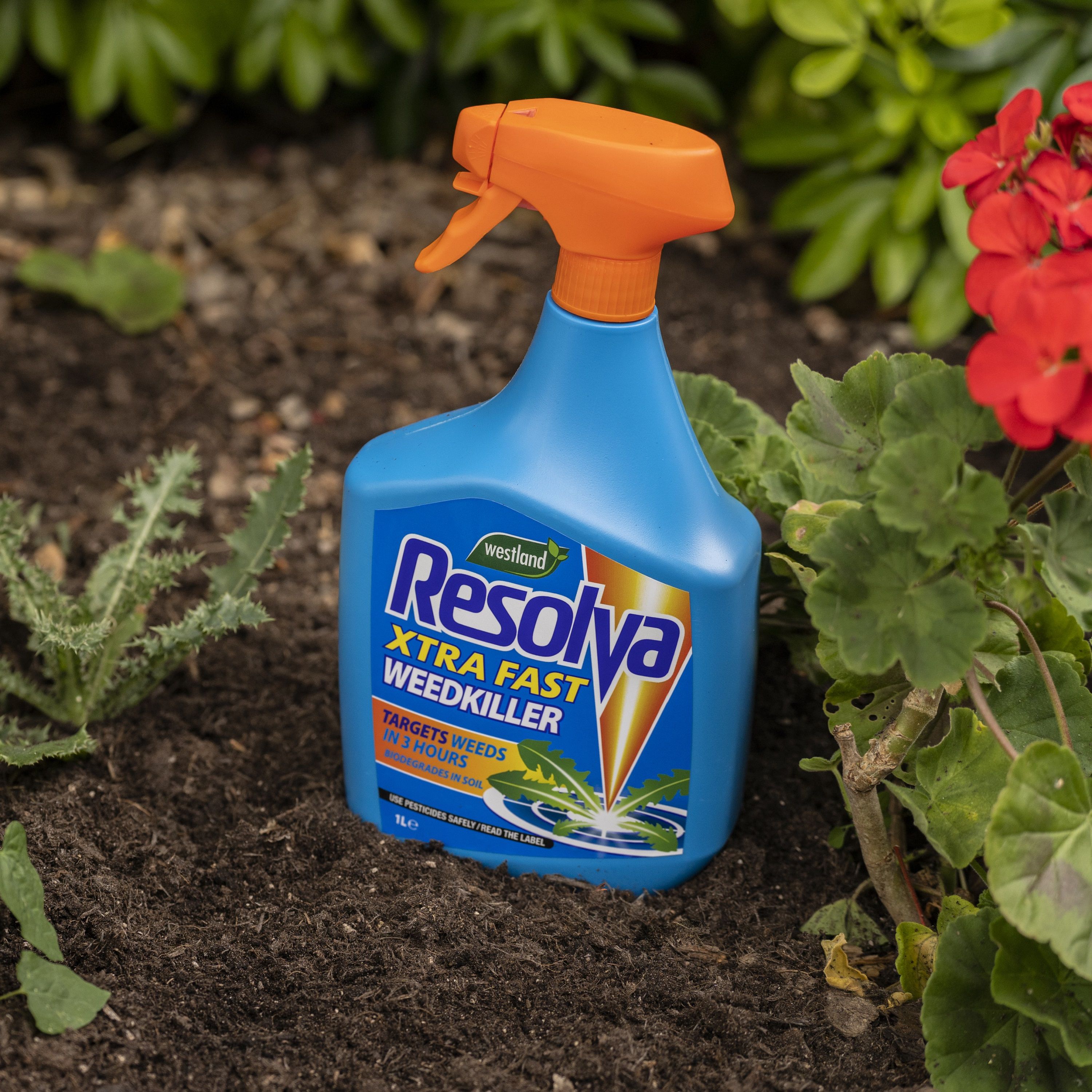 Westland Xtra fast Weed killer 1L Liquid