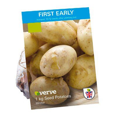 Buy Winston Potato Vegetable bulb | DIY at B&Q