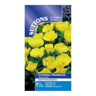 Yellow queen Primrose Seed | DIY at B&Q