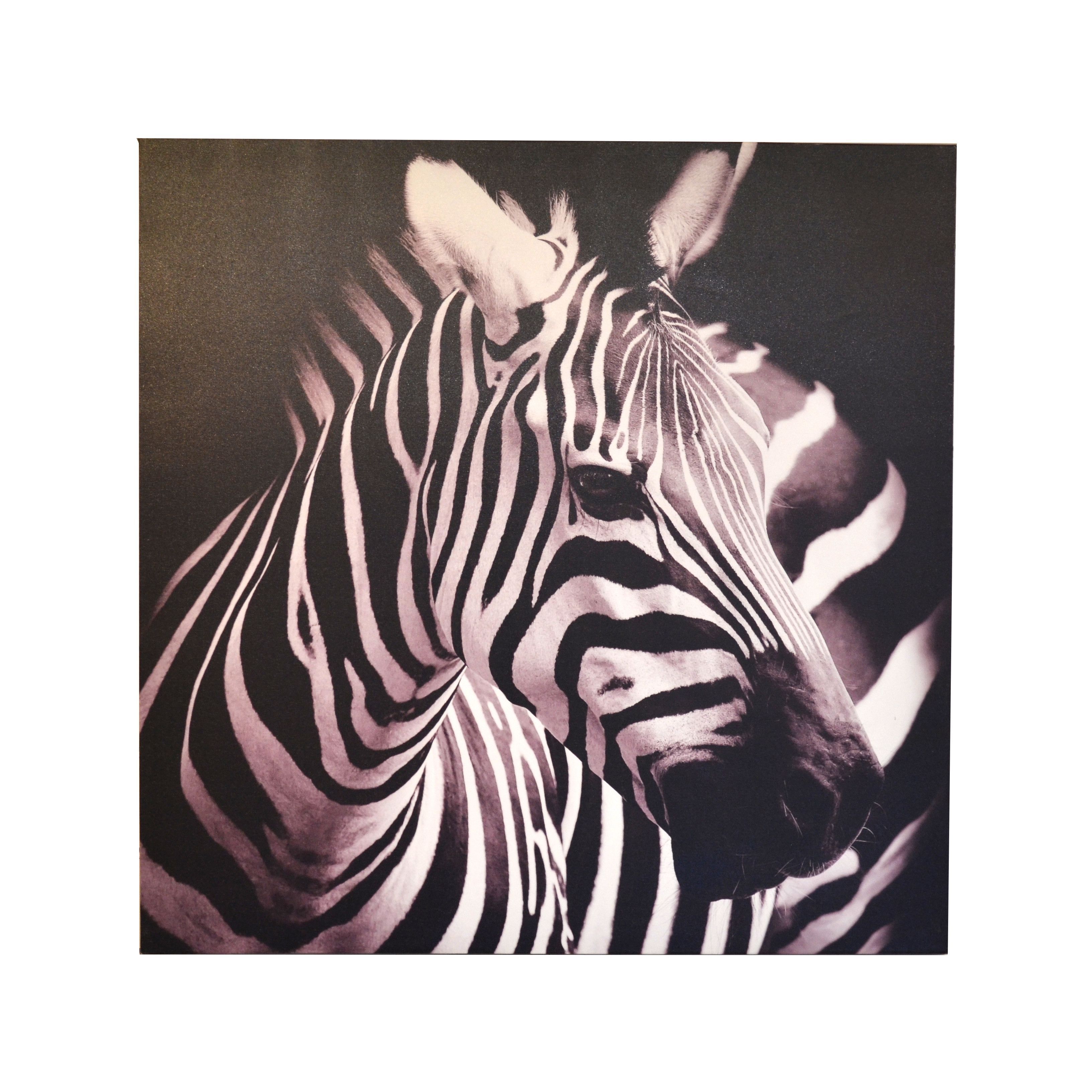 Zebra Black & white Canvas art (H)800mm (W)800mm | DIY at B&Q