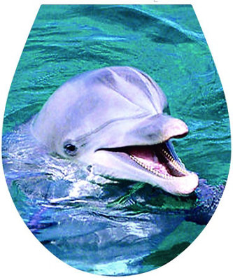 'Dolphin' WC Seat Sticker Toilet Lid Cover Bathroom Art 32x38cm | DIY ...