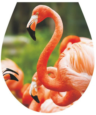 'Flamingos' WC Seat Sticker Toilet Lid Cover Bathroom Art 32x38cm | DIY ...