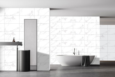 (TNT) MERCURE MARBLE WHITE 60 X 30 CM MATT PORCELAIN TILES (PACK OF 10 ...