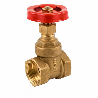 1/2" Female x Female Brass Gate Valve - Manual Isolation Valve for ...