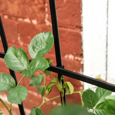 1.2 Metre Fan Pot Trellis, Plastic Coated Steel Outdoor Decorative ...