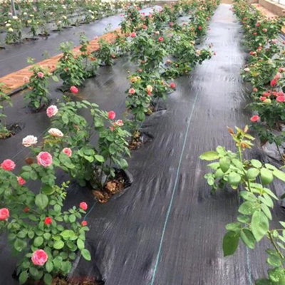 1.5 x 25 m / 4.9 x 82.0 ft Weed Control Membrane, Weed Control Woven ...