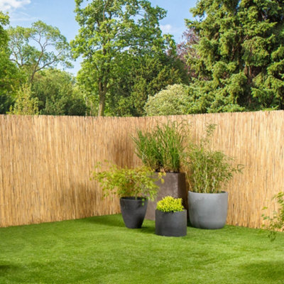 1.5m x 4m Split Natural Peeled Reed Screening Fencing Panel Bamboo ...