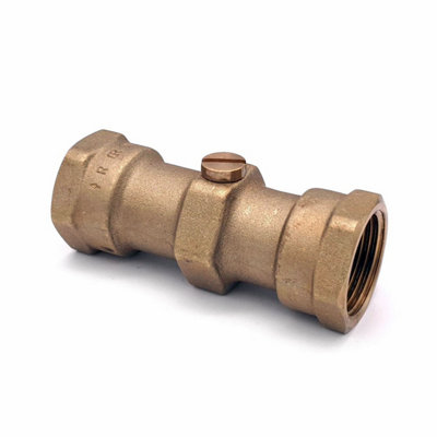 1" FBSP Floguard Double Check Valve