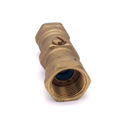 1" FBSP Floguard Double Check Valve