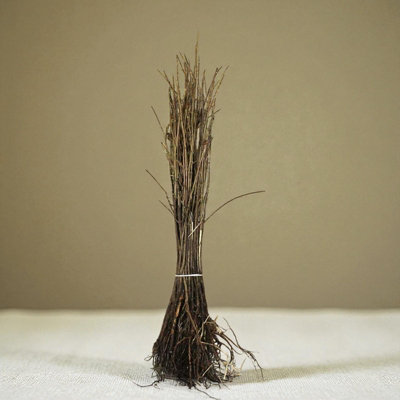 1 x Acer Field Maple Bare Root Hedging - 40-60 cm Hardy Versatile ...