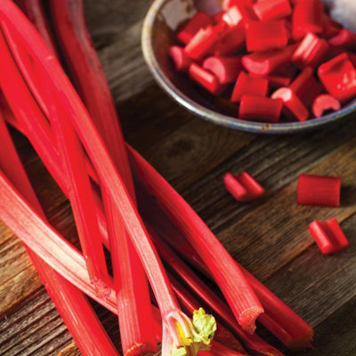 1 X CANADA RED RHUBARB CROWN - RHEUM RHABARBARUM PERENNIAL READY TO ...