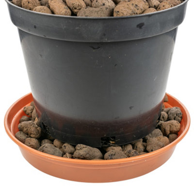 10 l growing media-clay pebbles,medium size 8-16mm, pot plant topper ...